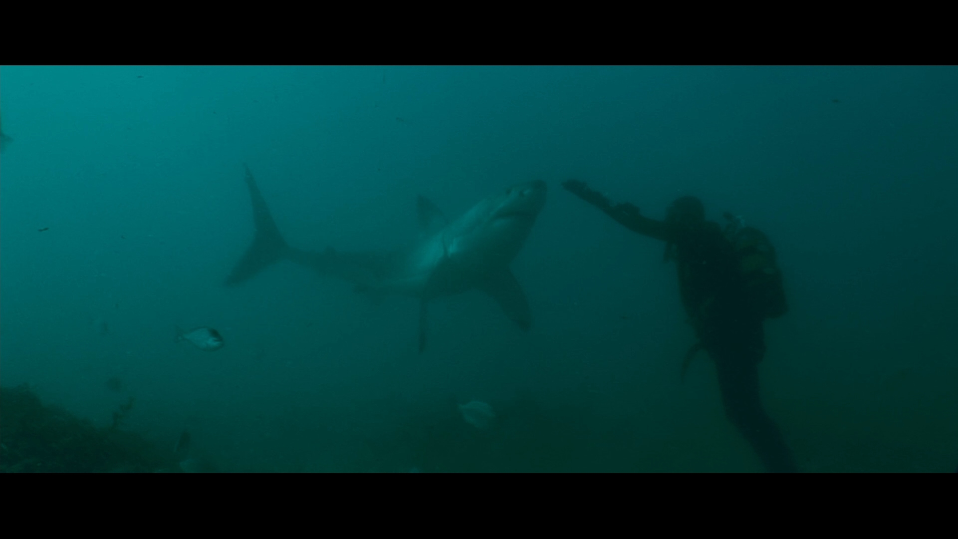 DoBlu.com – 4K UHD & Blu-ray Reviews | Dark Tide Review