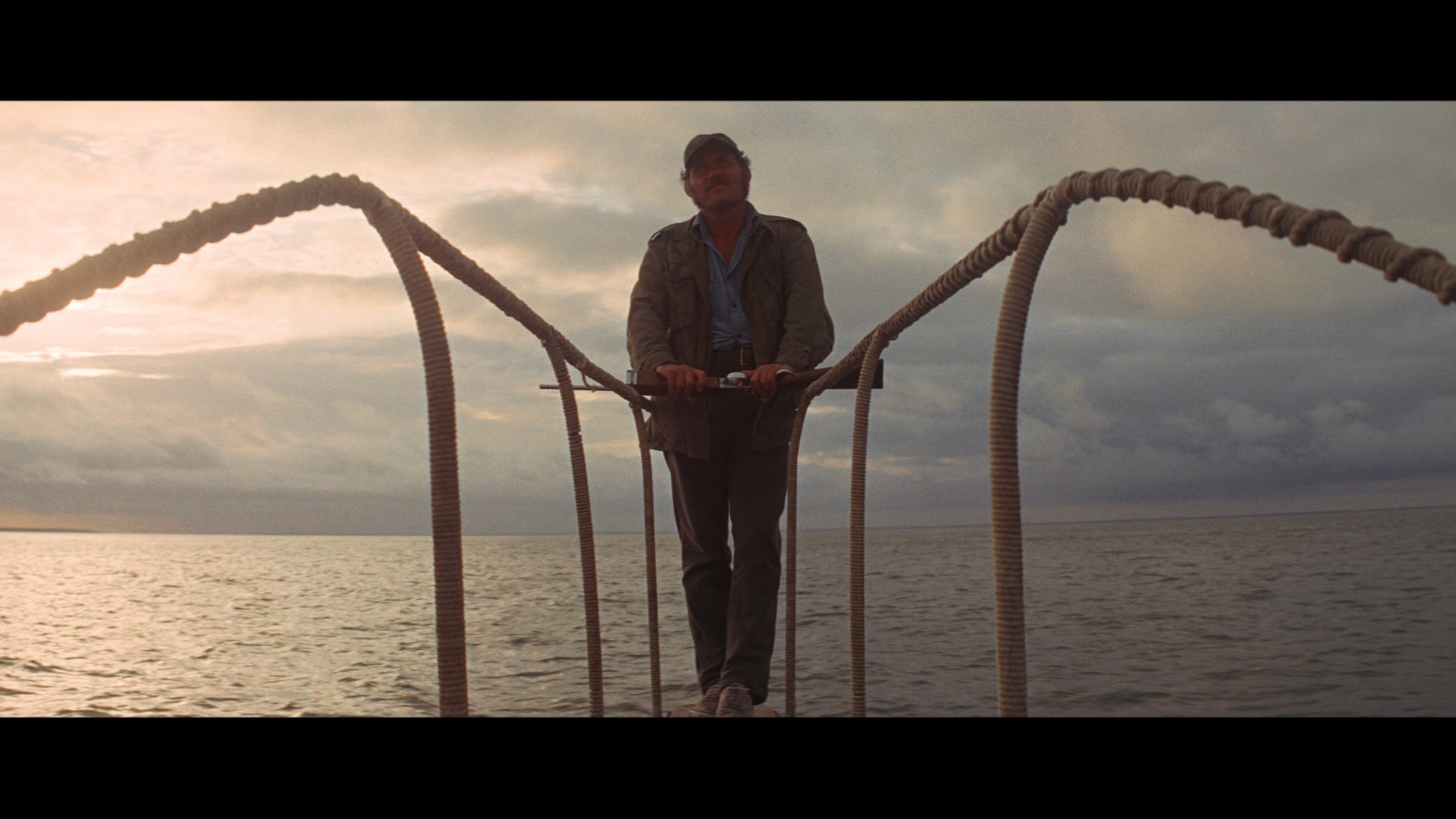 Jaws Review