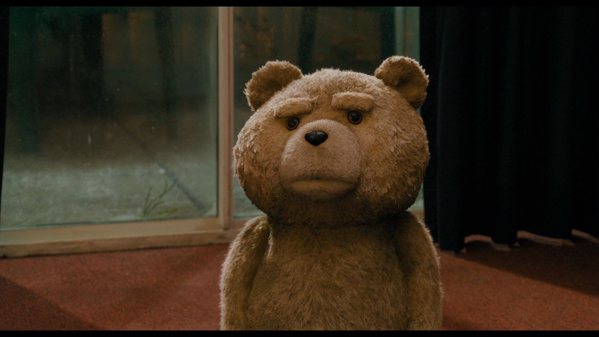 Ted Review