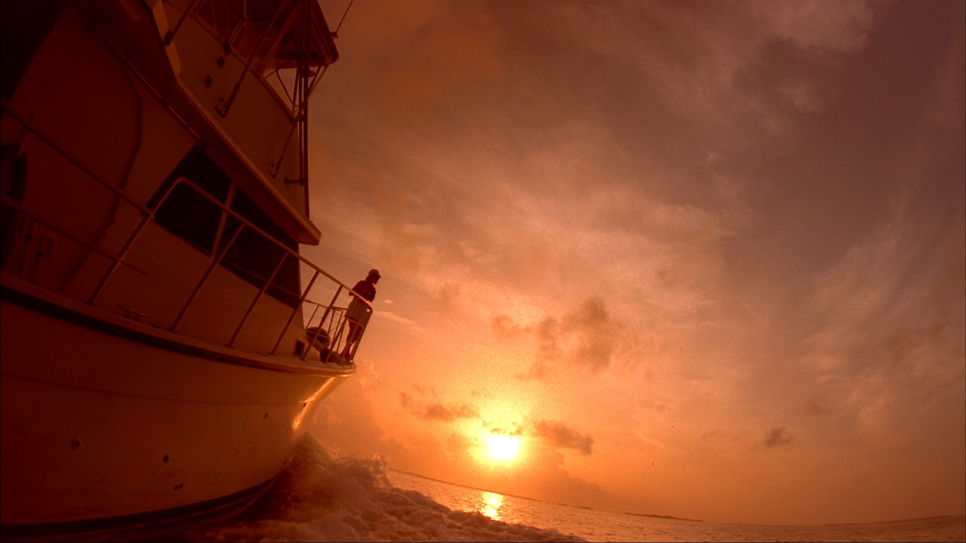 IMAX: Dolphins Blu-ray Review