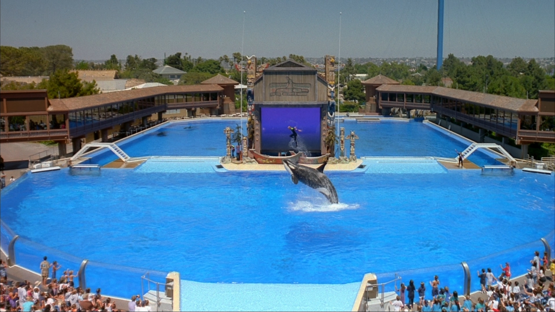 IMAX: Dolphins Blu-ray Review