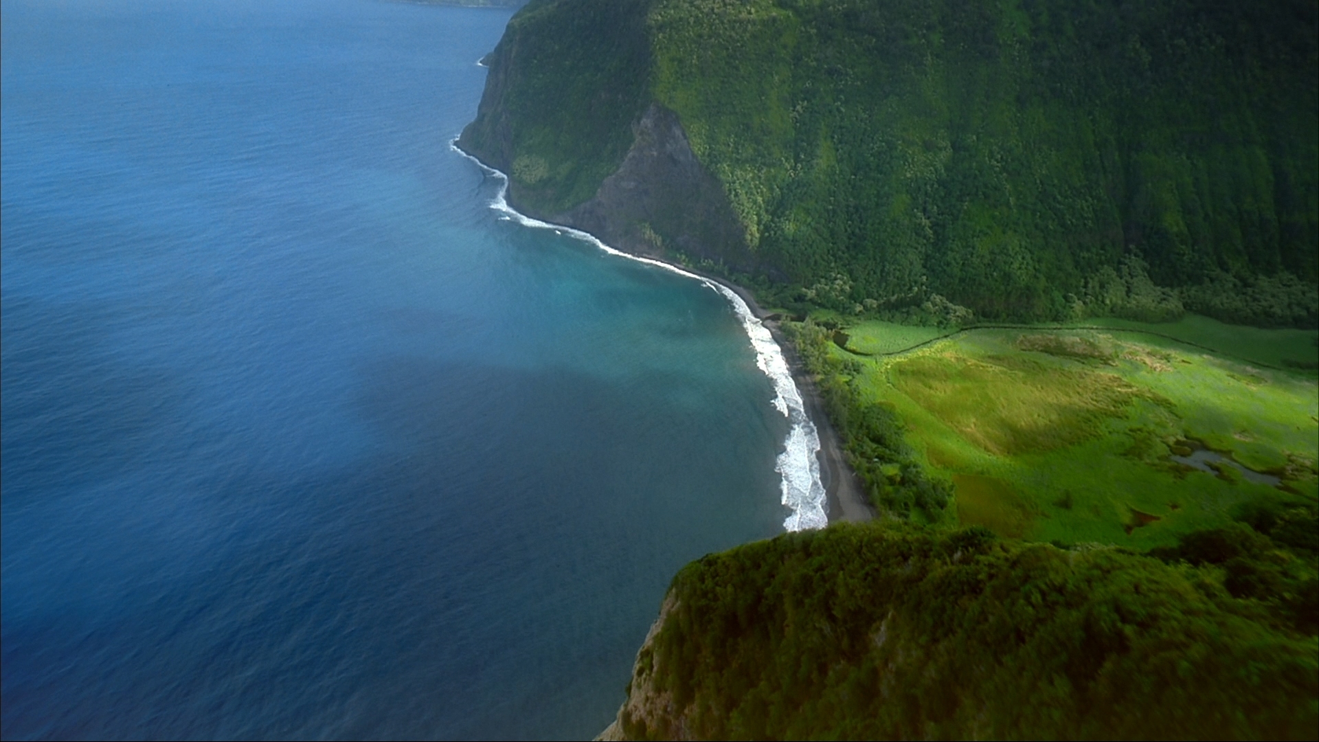 IMAX: Dolphins Blu-ray Review