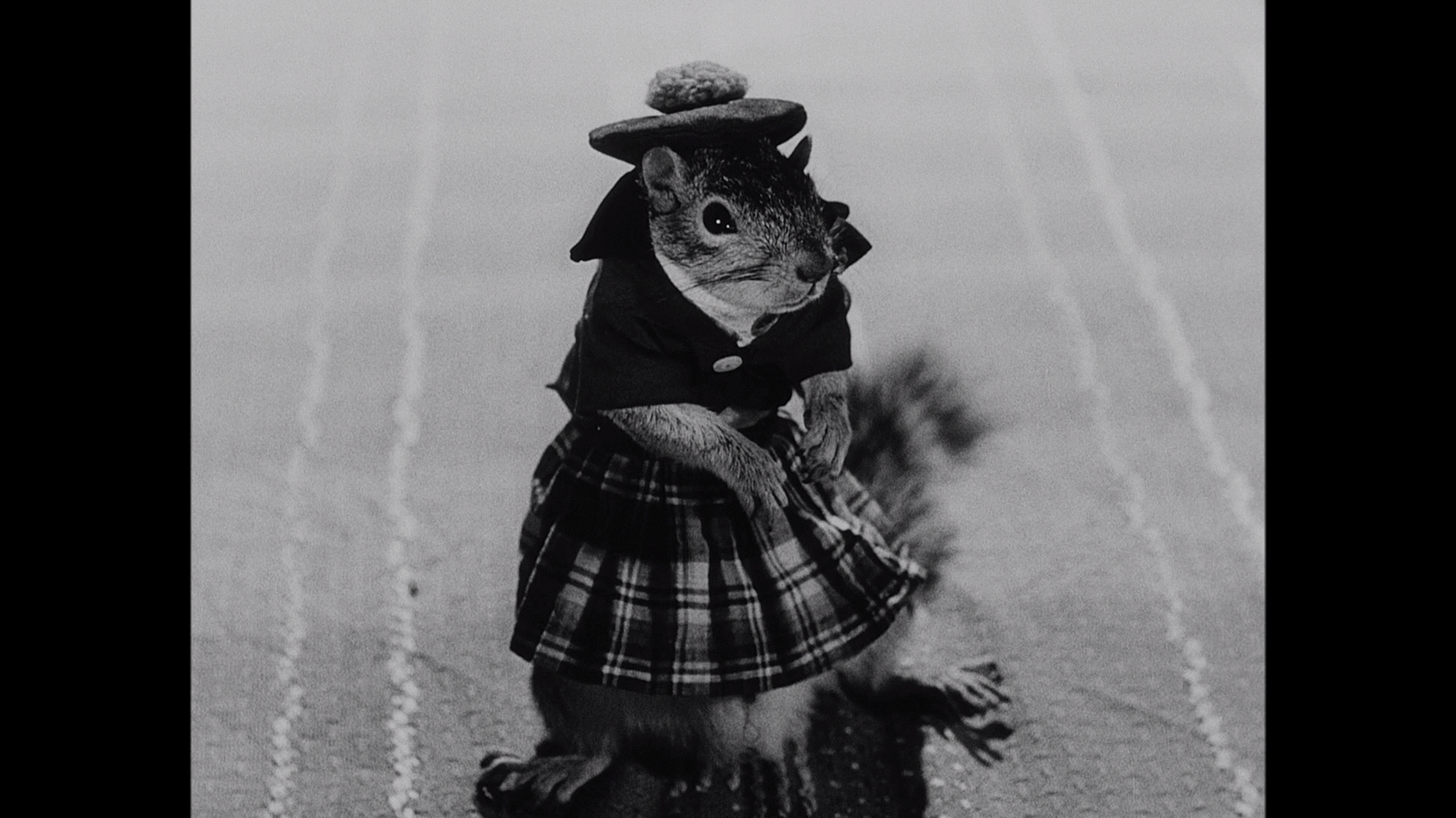 The Puppetoon Movie Blu-ray Review