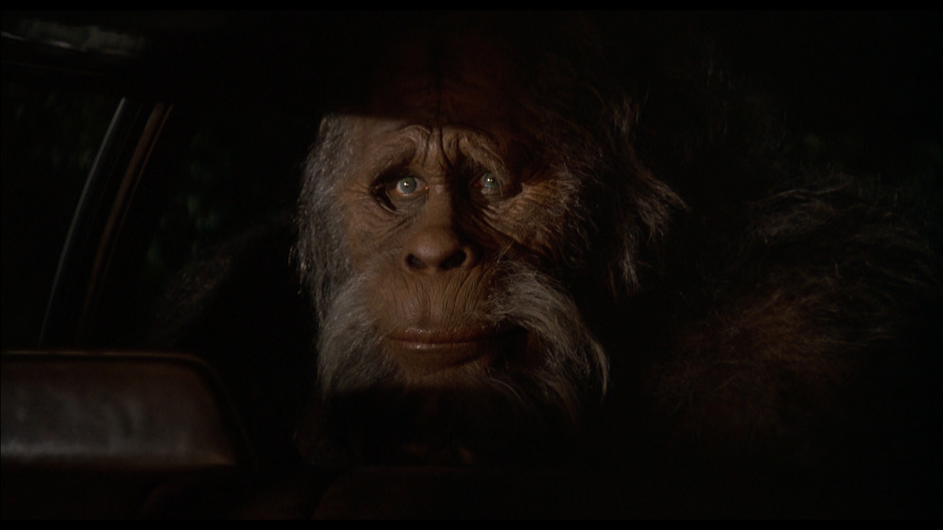 Harry and the Hendersons Blu-ray Review