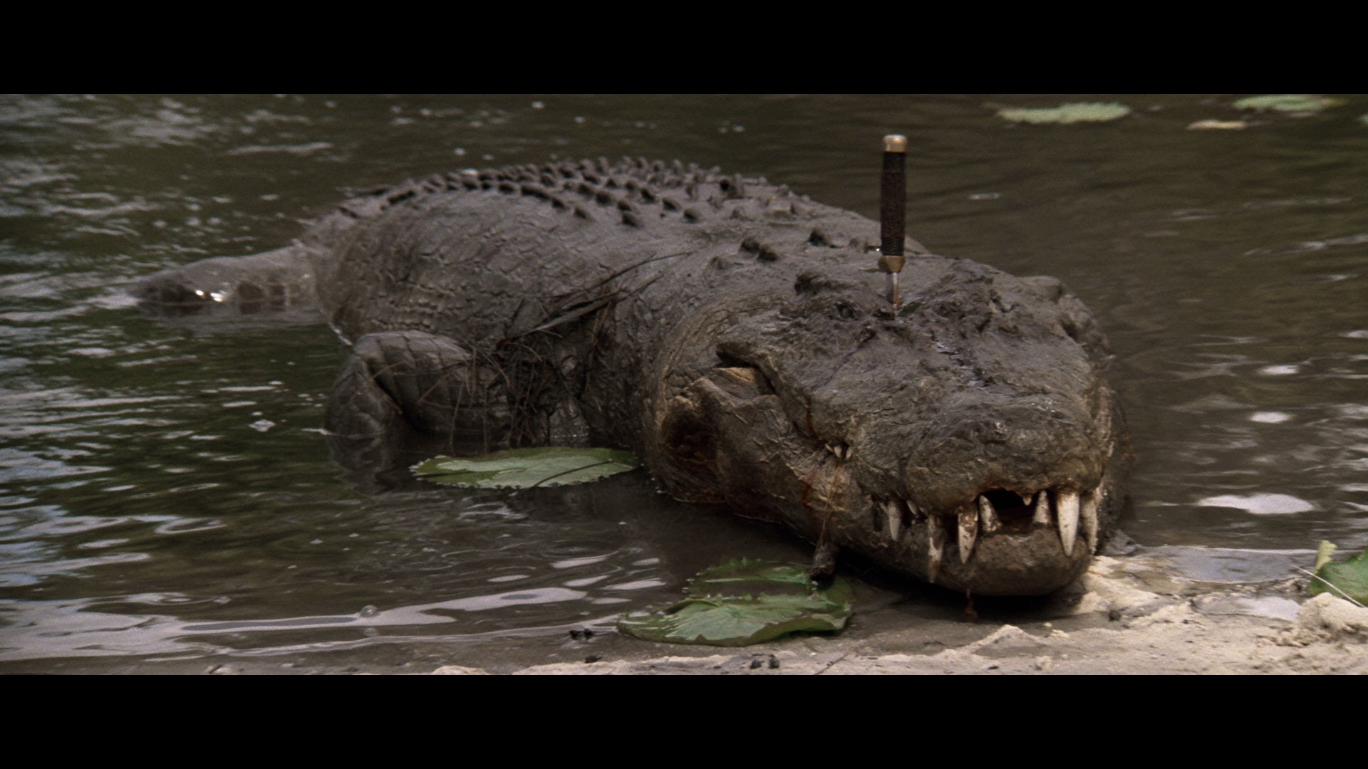 "Crocodile" Dundee Blu-ray Review