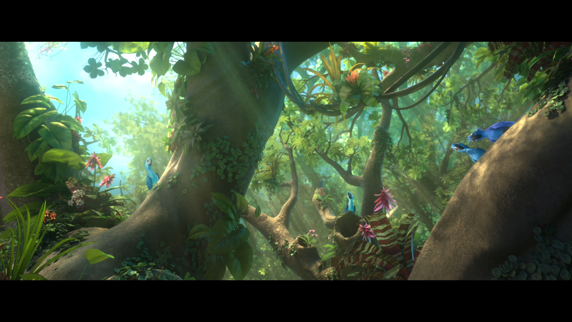 Rio 2 3D Blu-ray Review