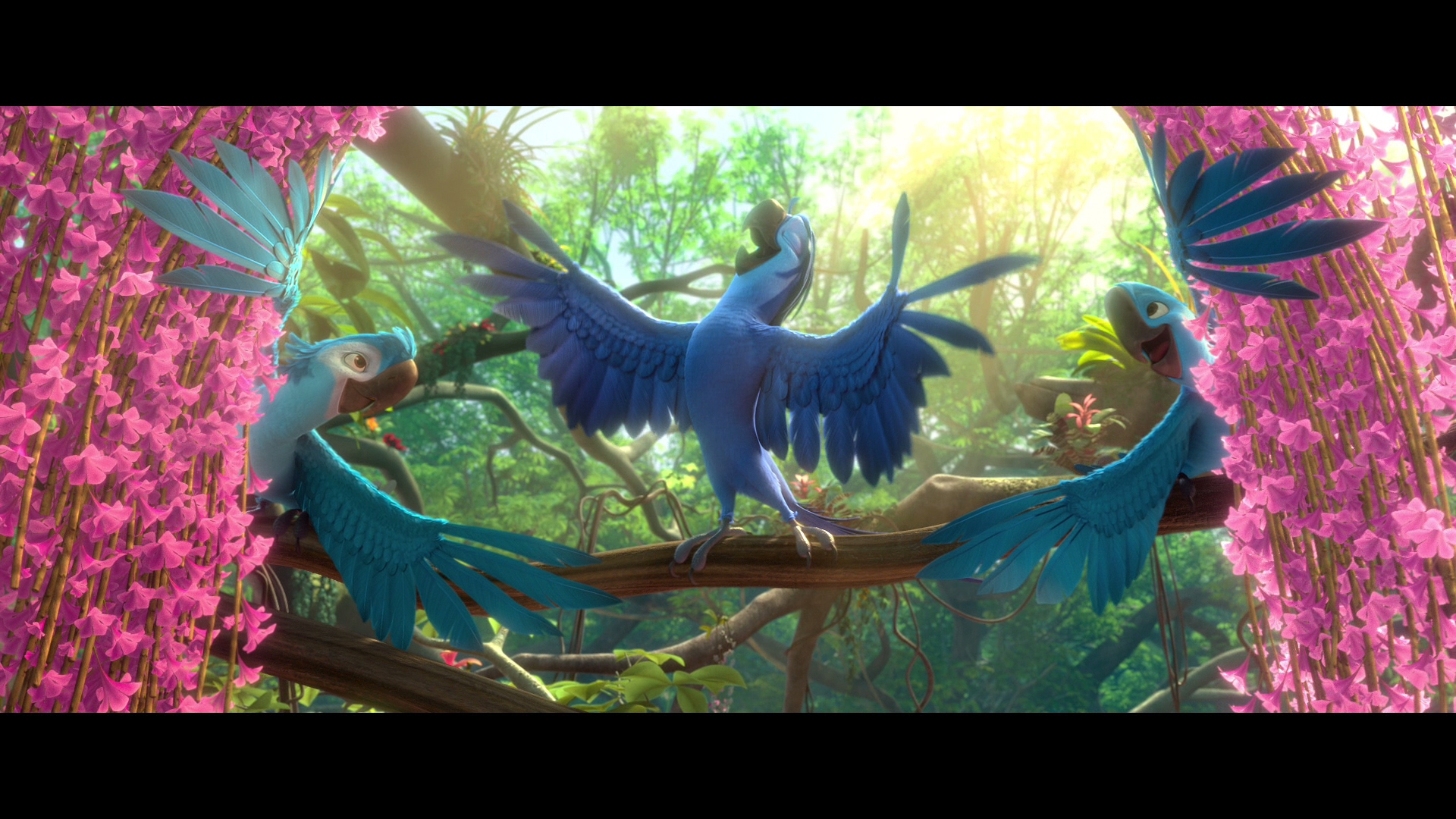 Rio 2 3D Blu-ray Review