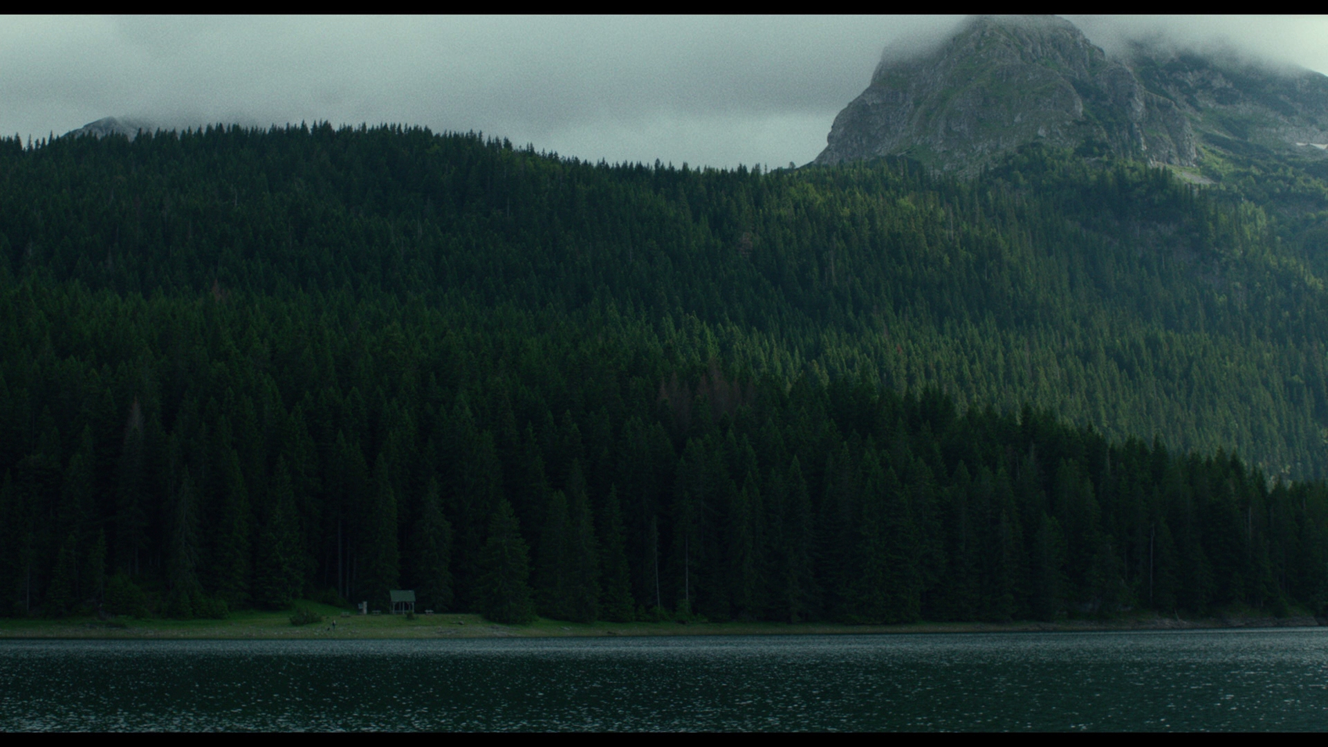 The Forest Blu-ray Review