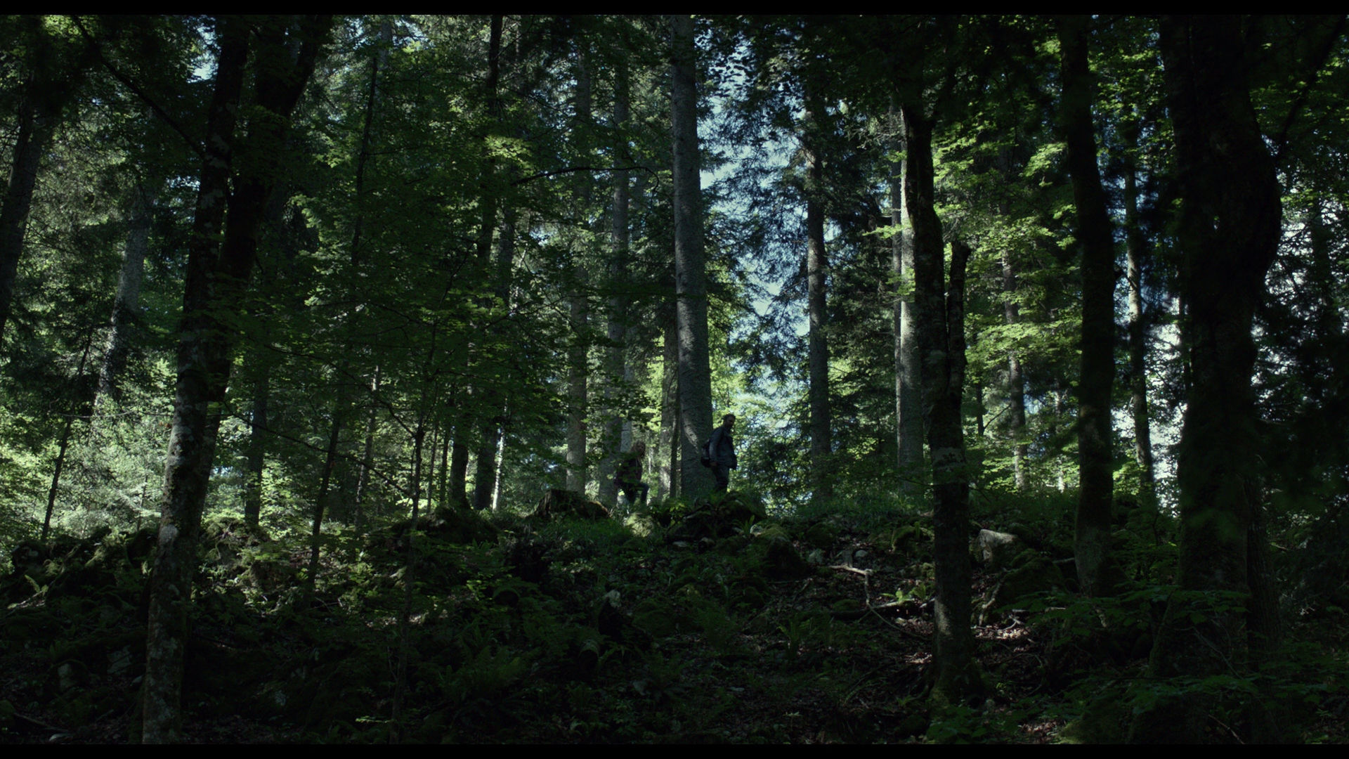 The Forest Blu-ray Review