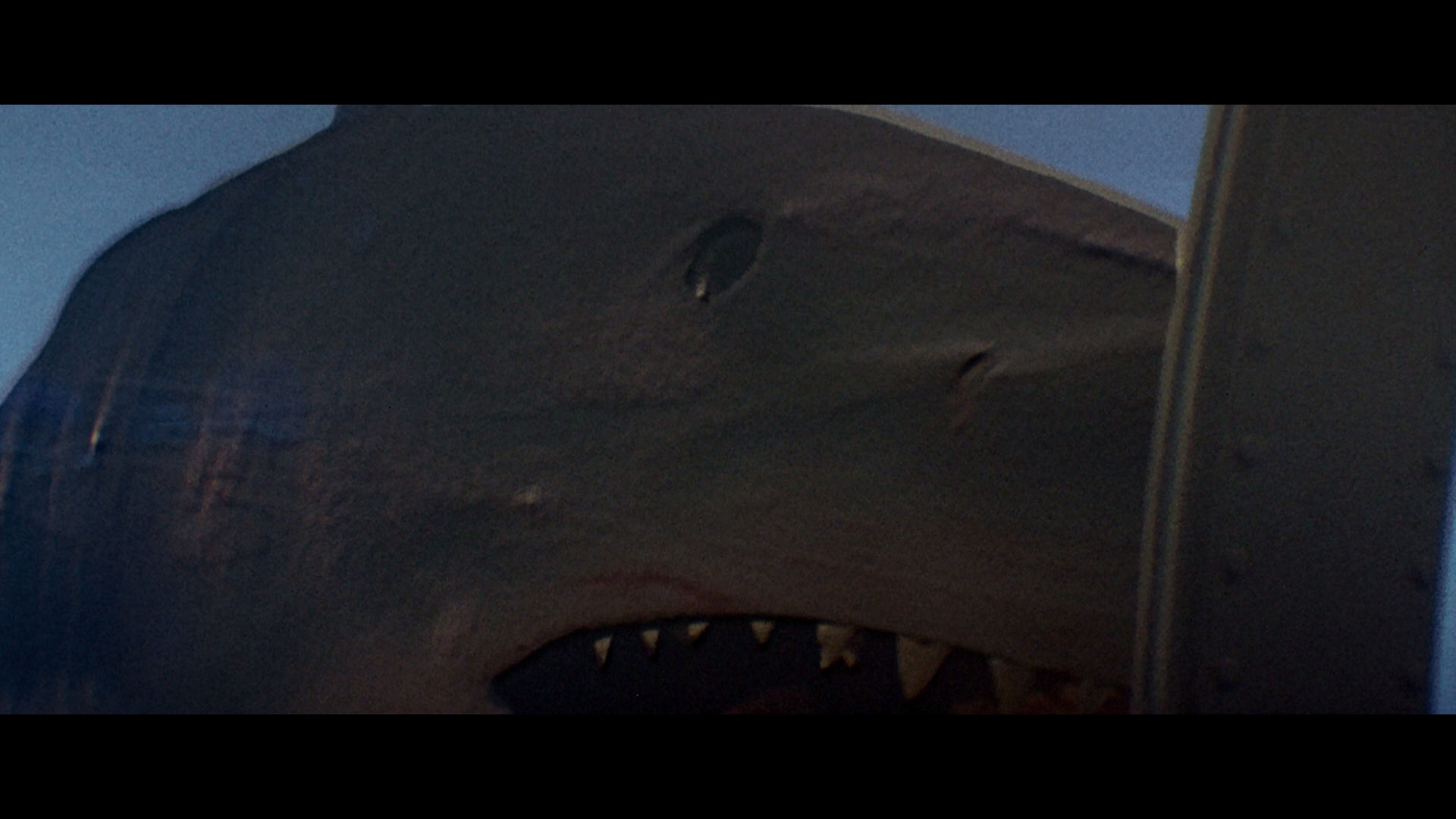 Jaws 3 3D Blu-ray Review