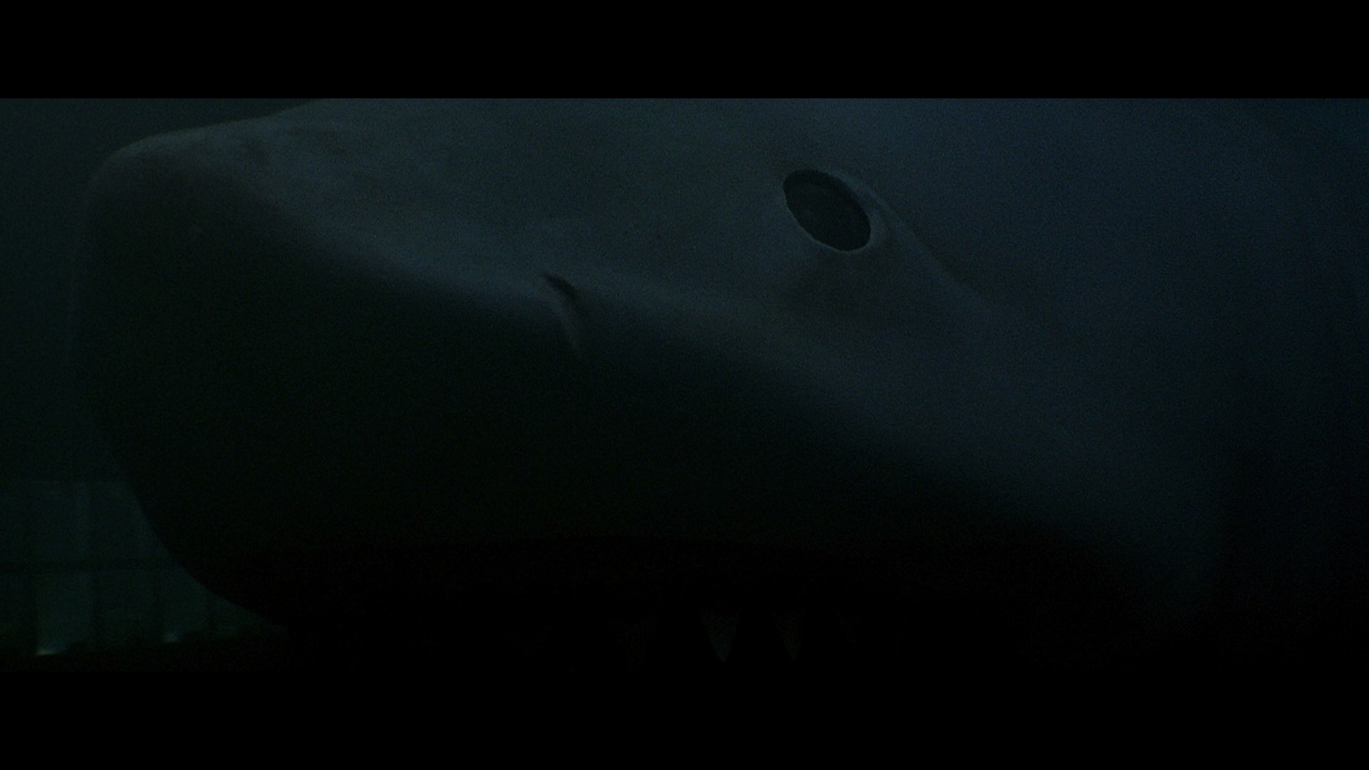 Jaws 3 3D Blu-ray Review