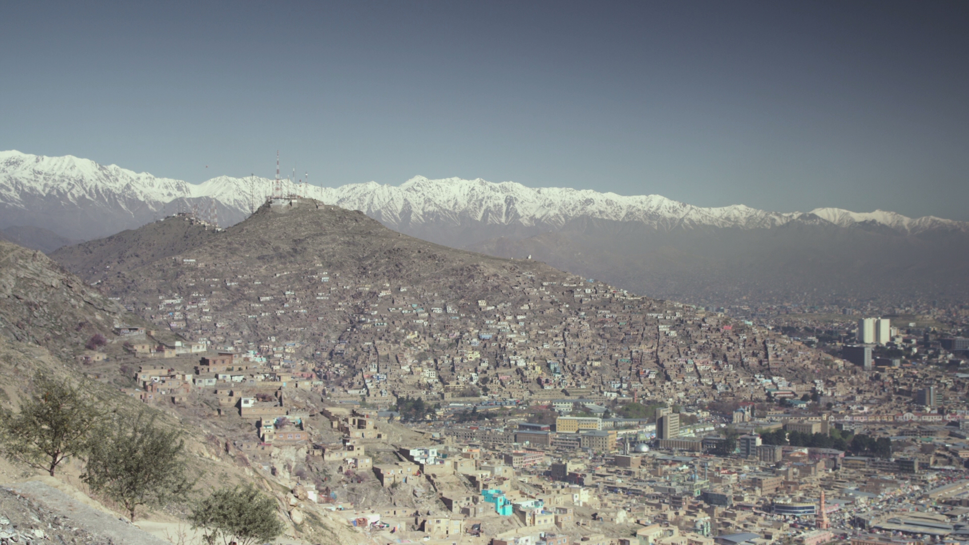 Whiskey Tango Foxtrot Blu-ray Review