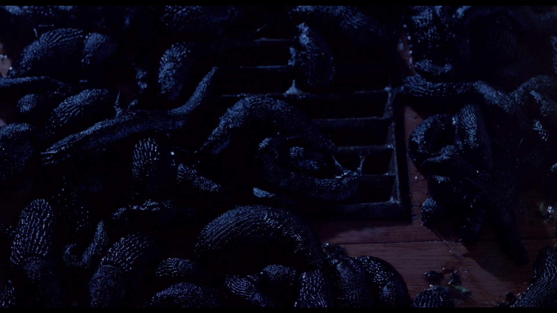 Slugs Blu-ray Review