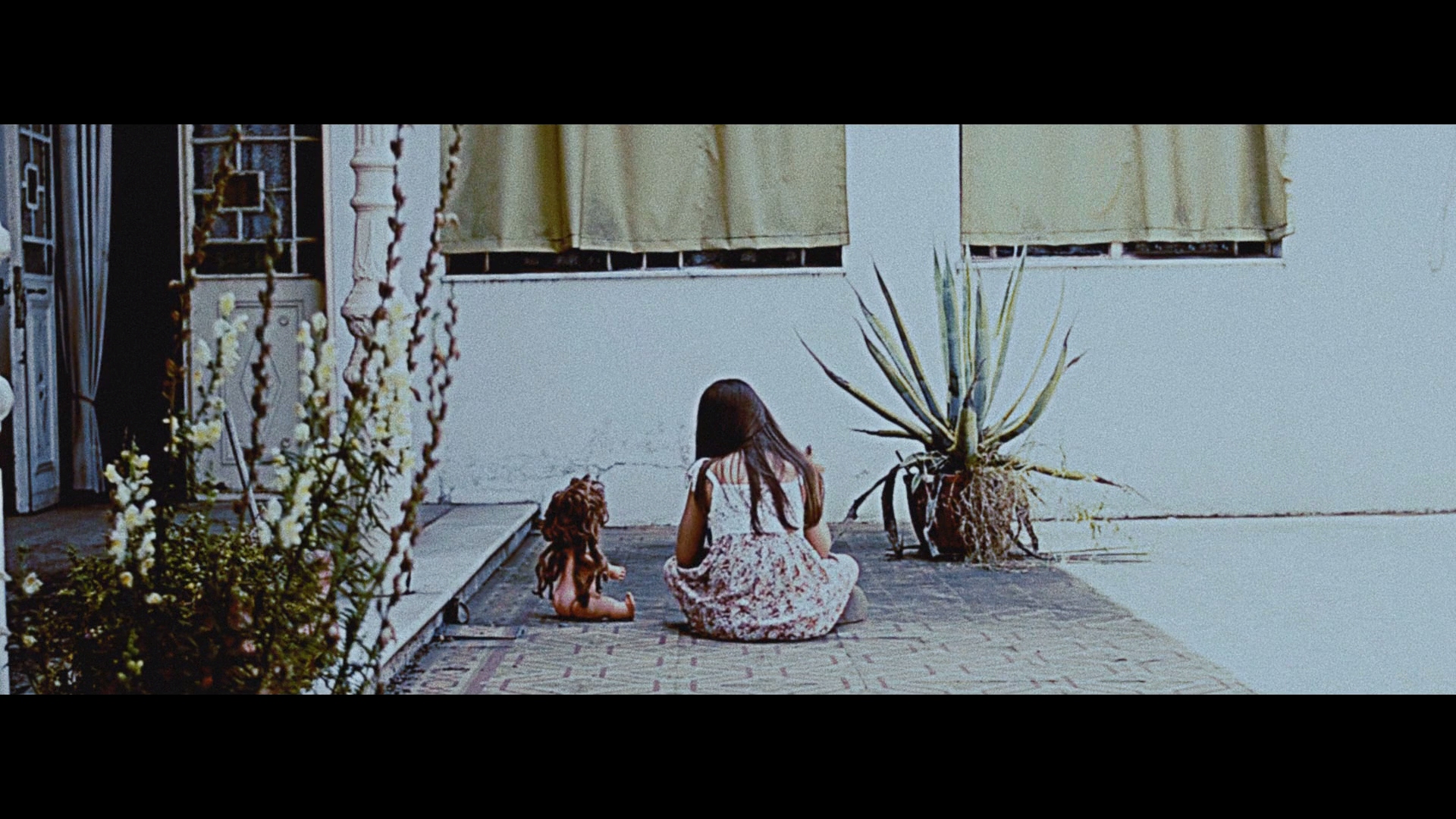 Francesca Blu-ray Review