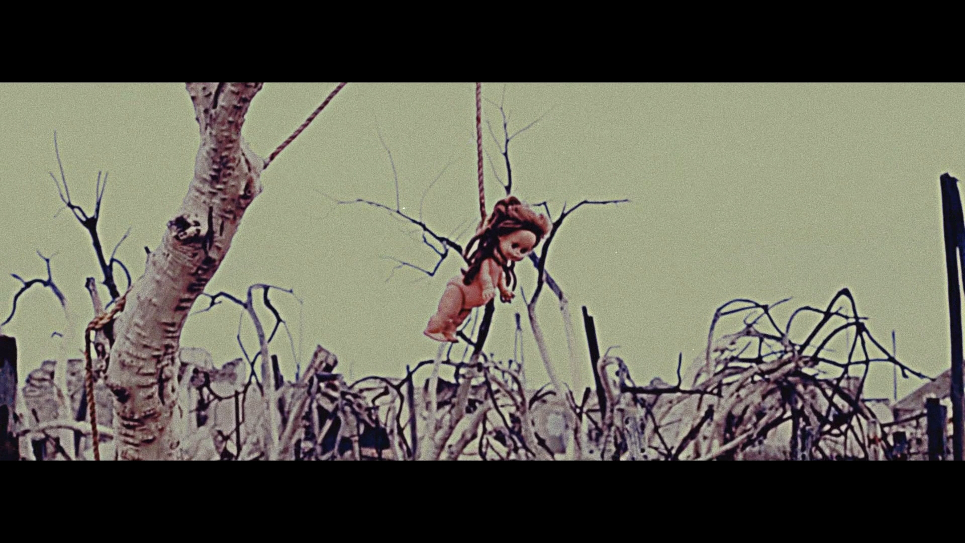 Francesca Blu-ray Review