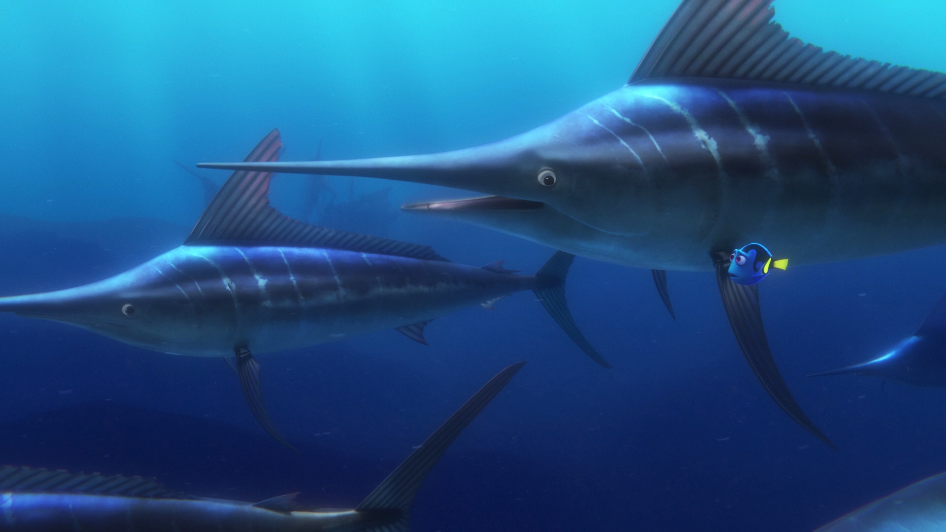 Finding Dory 3D Blu-ray Review