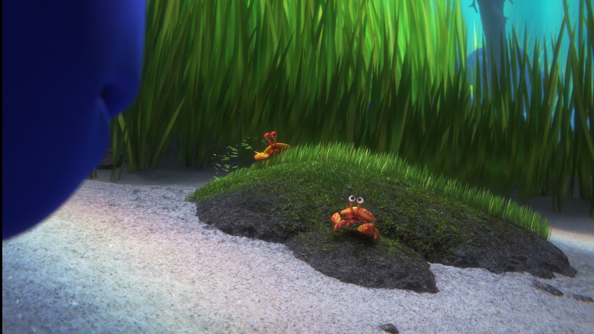 Finding Dory 3D Blu-ray Review