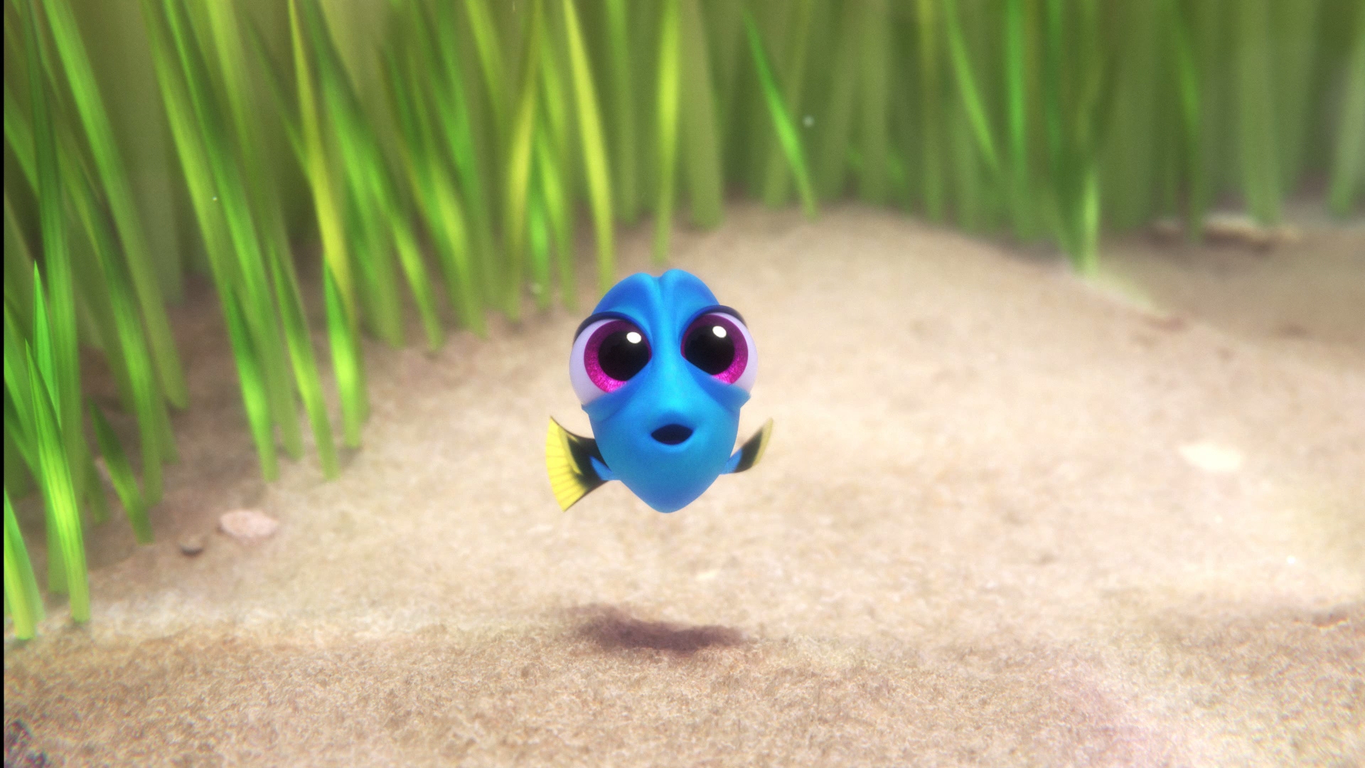 Finding Dory 3D Blu-ray Review