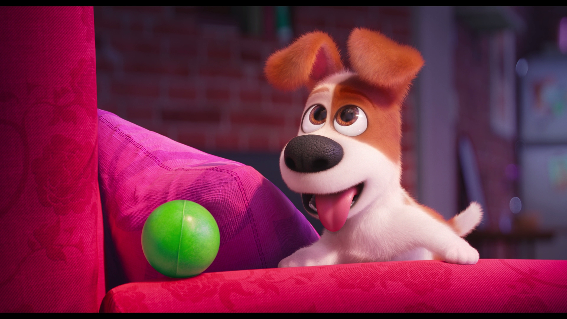 The Secret Life of Pets UHD Blu-ray Review