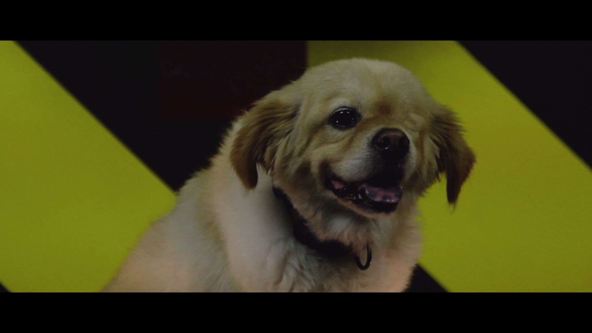 Counter Clockwise Blu-ray Review