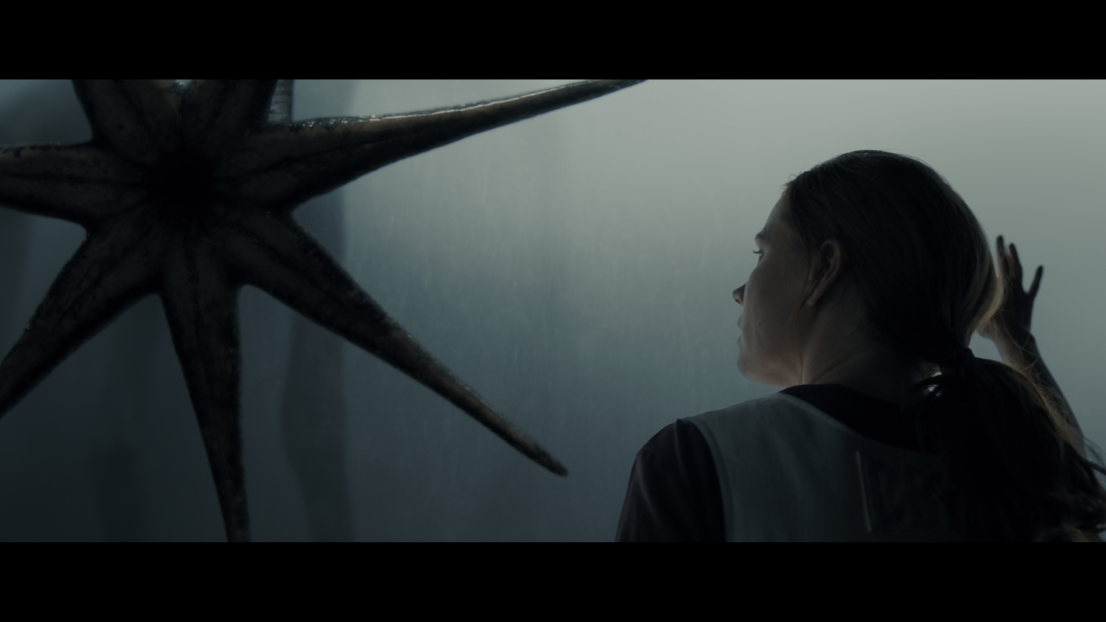 Arrival 4K UHD Blu-ray Review