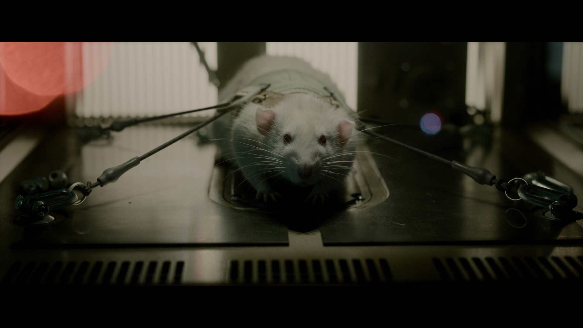 Life 4K UHD Blu-ray Review