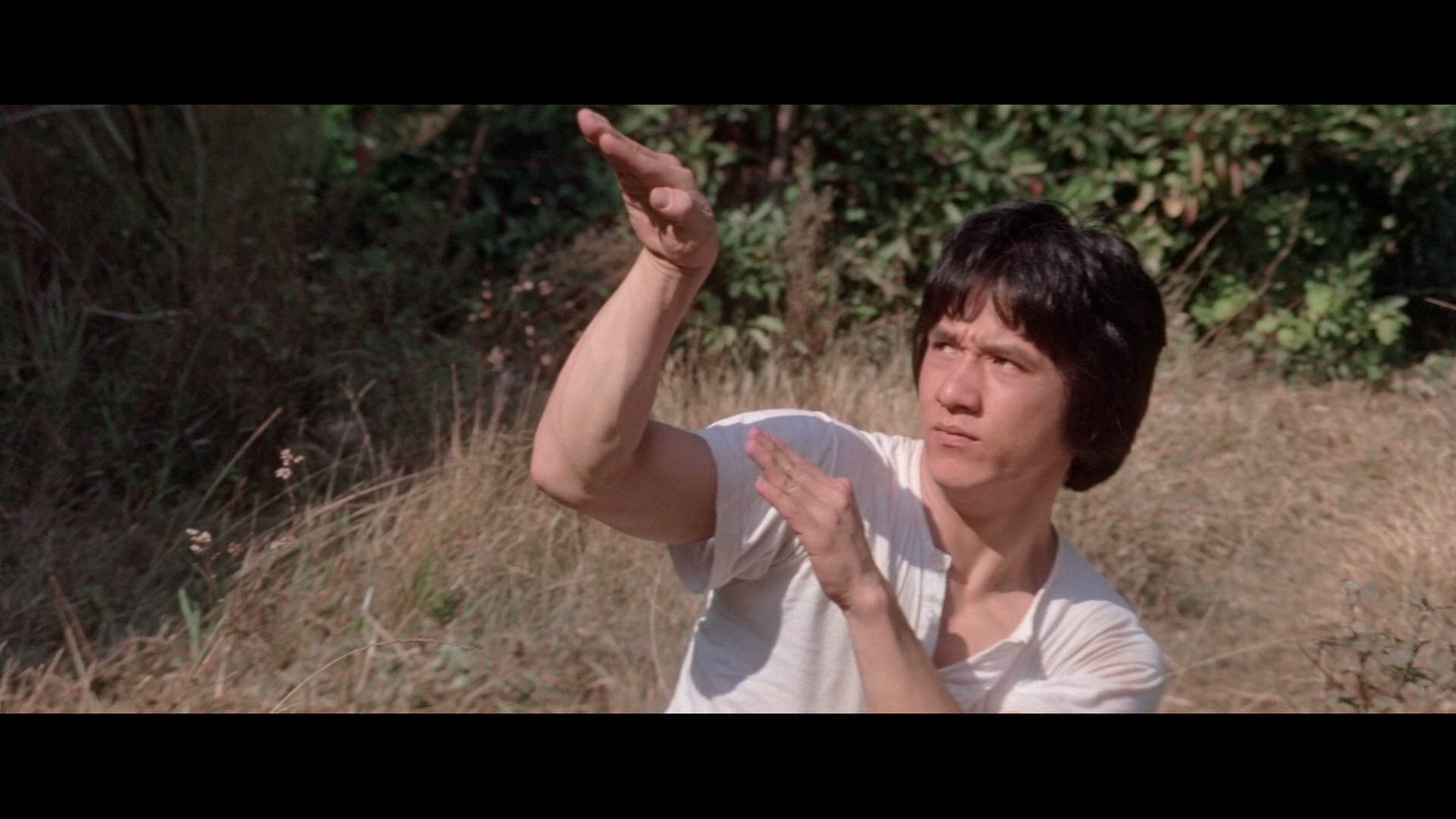 Snake in the Eagle's Shadow Blu-ray Review