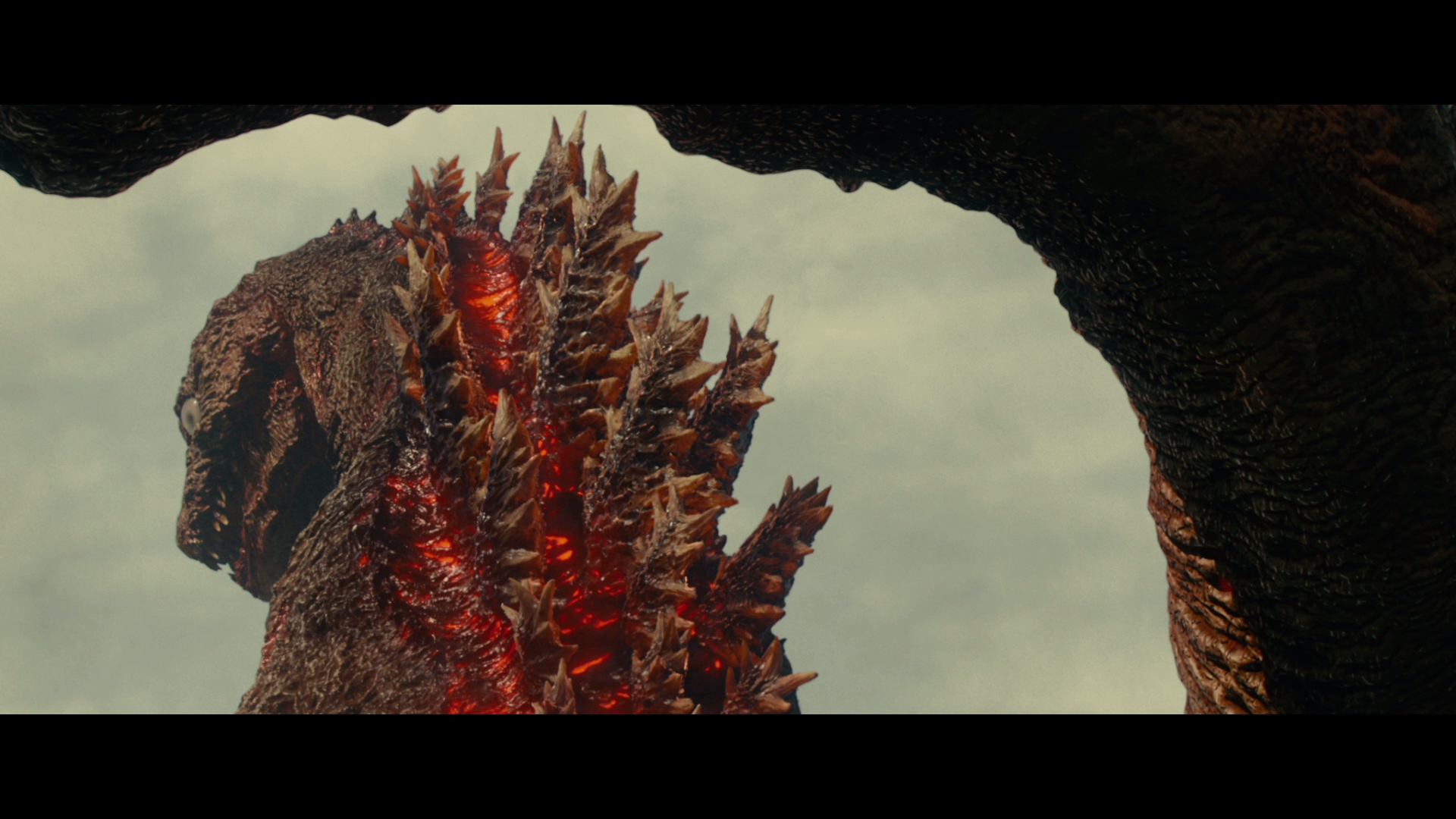 Shin Godzilla Blu-ray Review