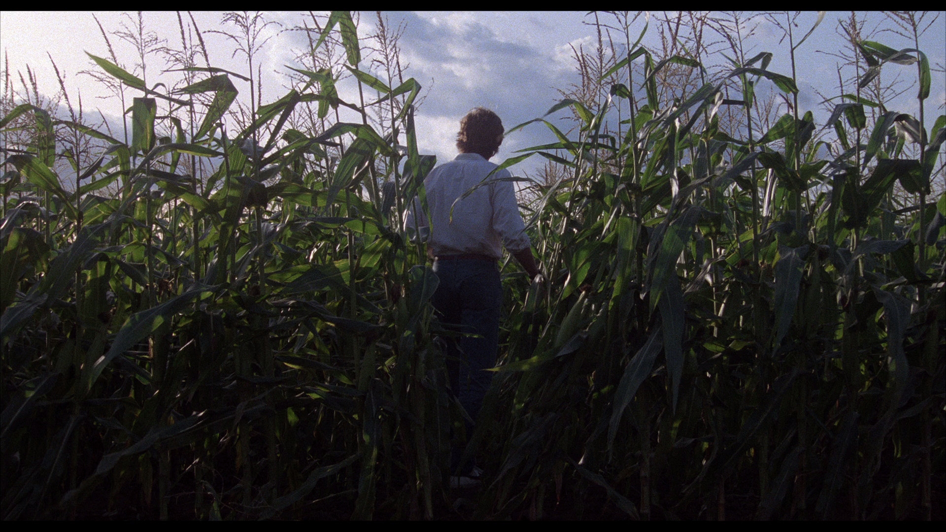 Children of the Corn Blu-ray Review