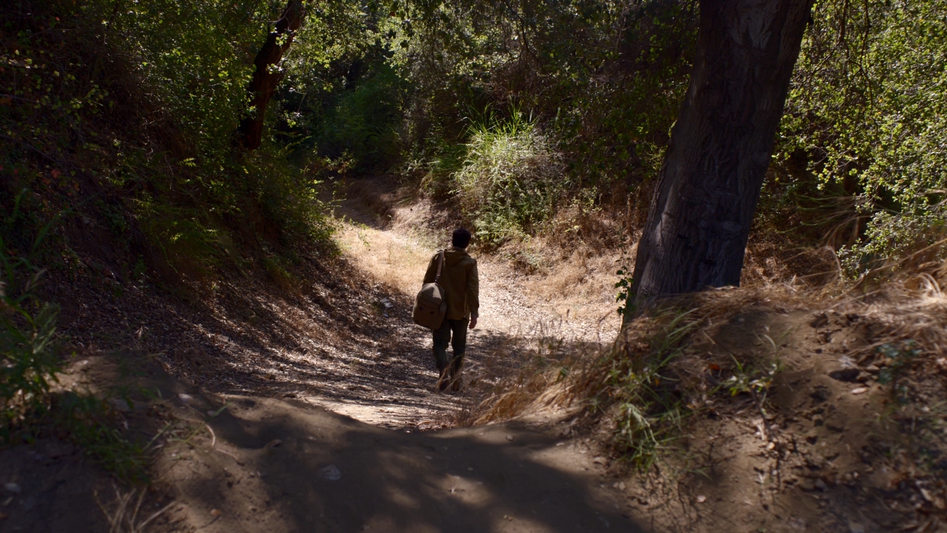 The Man From Earth: Holocene Blu-ray Review