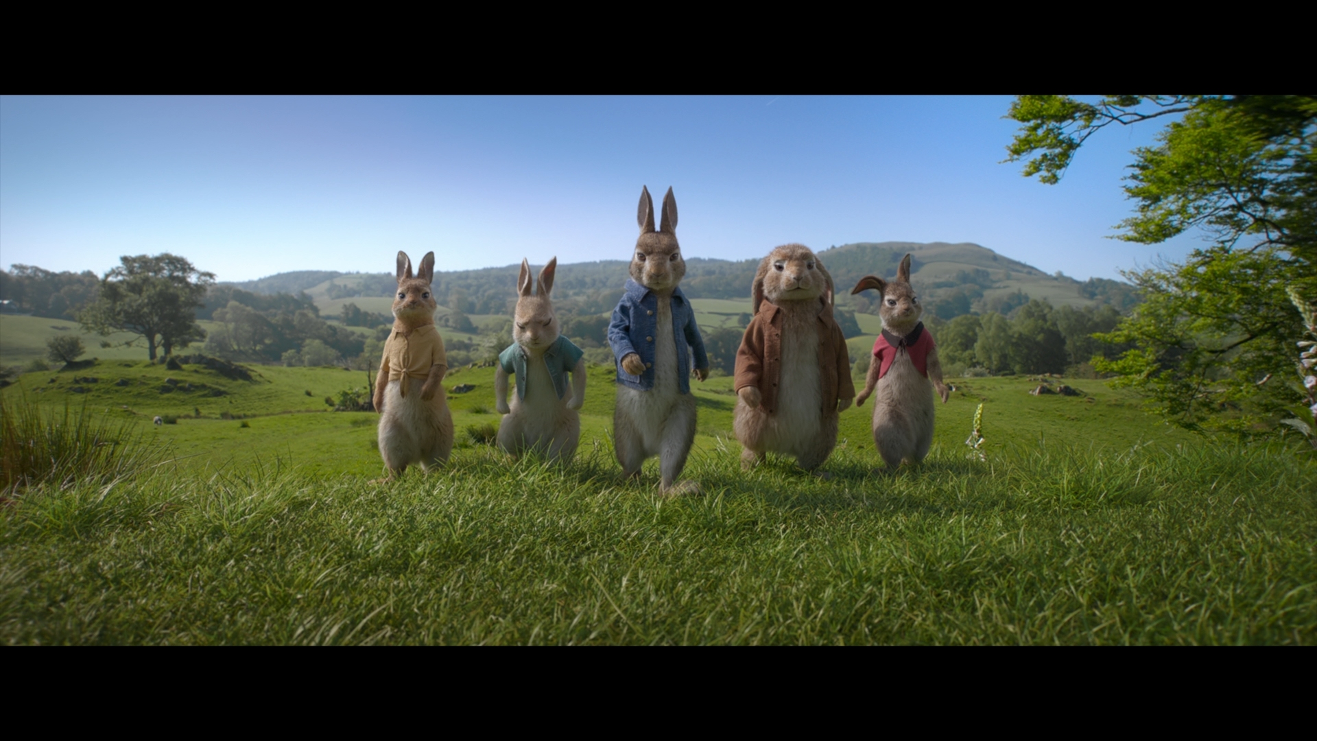Peter Rabbit 4K UHD Blu-ray Review
