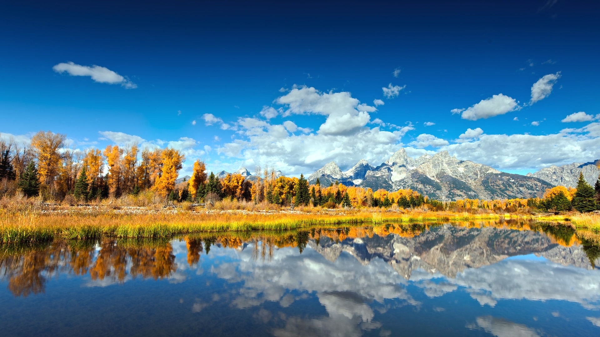 National Park Adventure 4K UHD / 3D Blu-ray Review