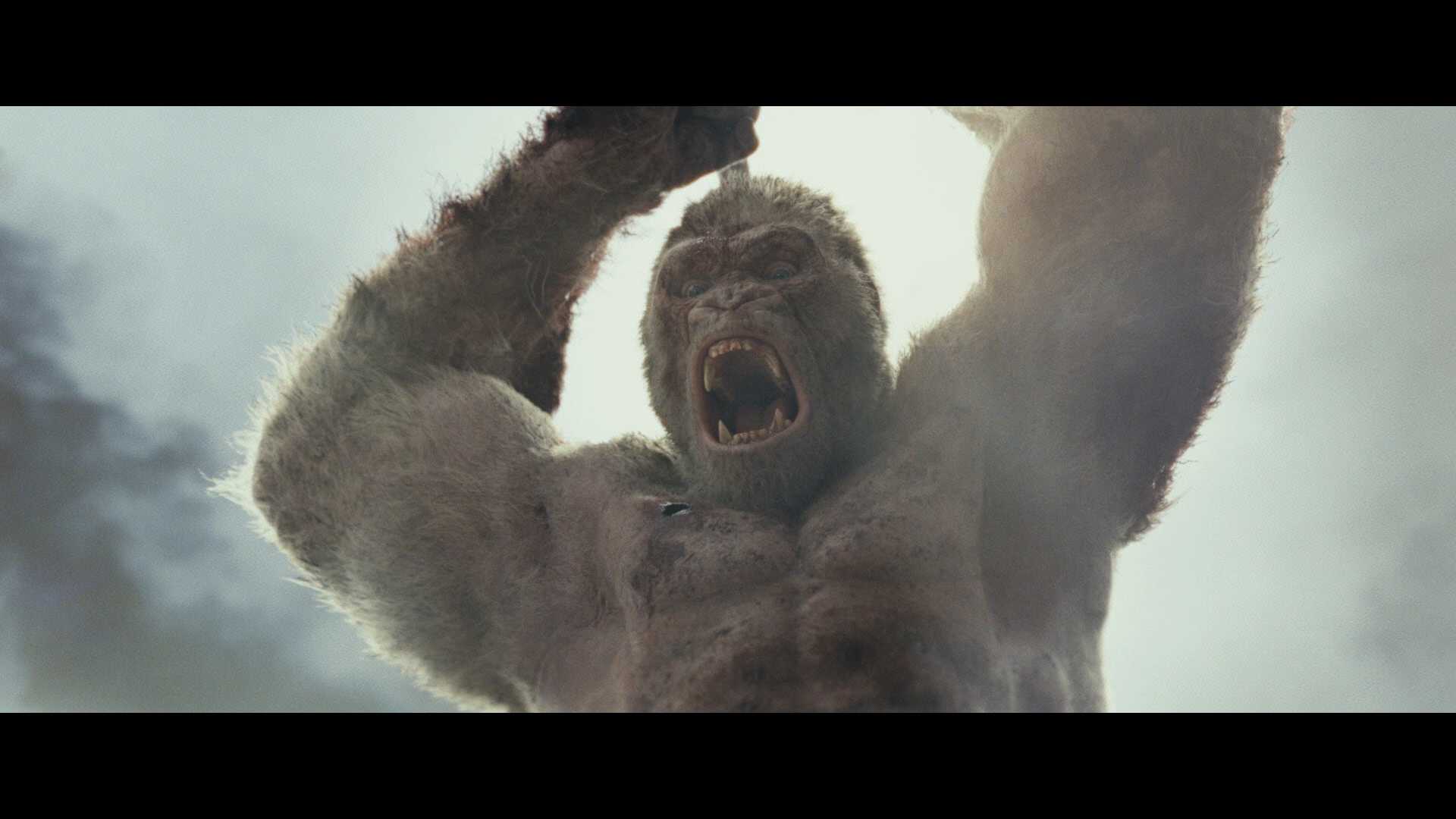 Rampage 4K UHD / 3D Blu-ray Review