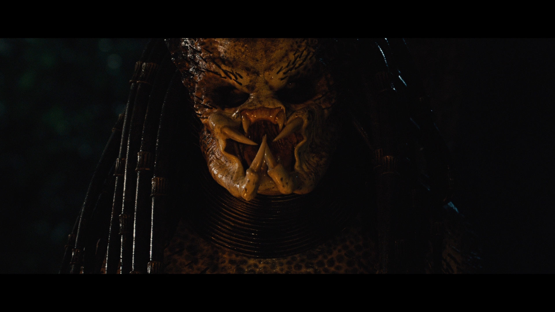 Predators 4K UHD Review