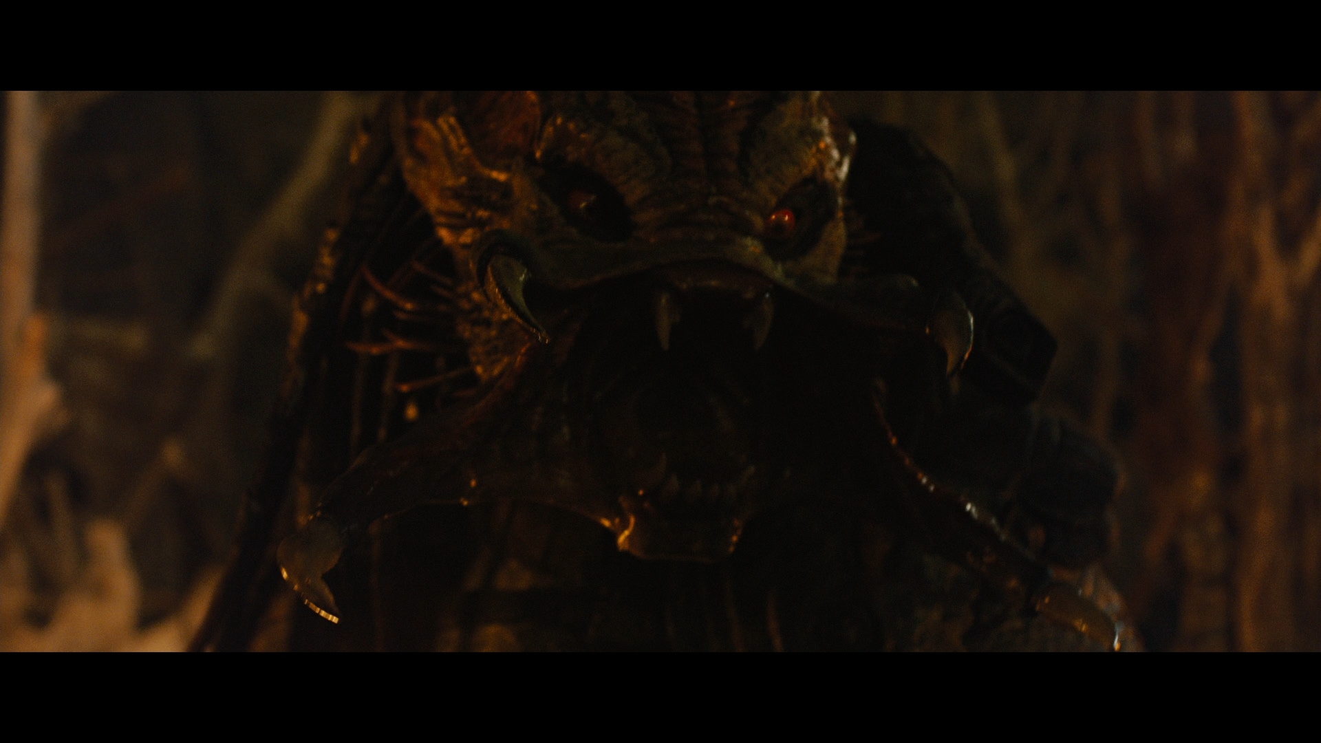 Predators 4K UHD Review