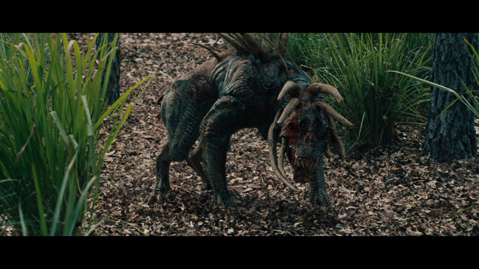 Predators 4K UHD Review