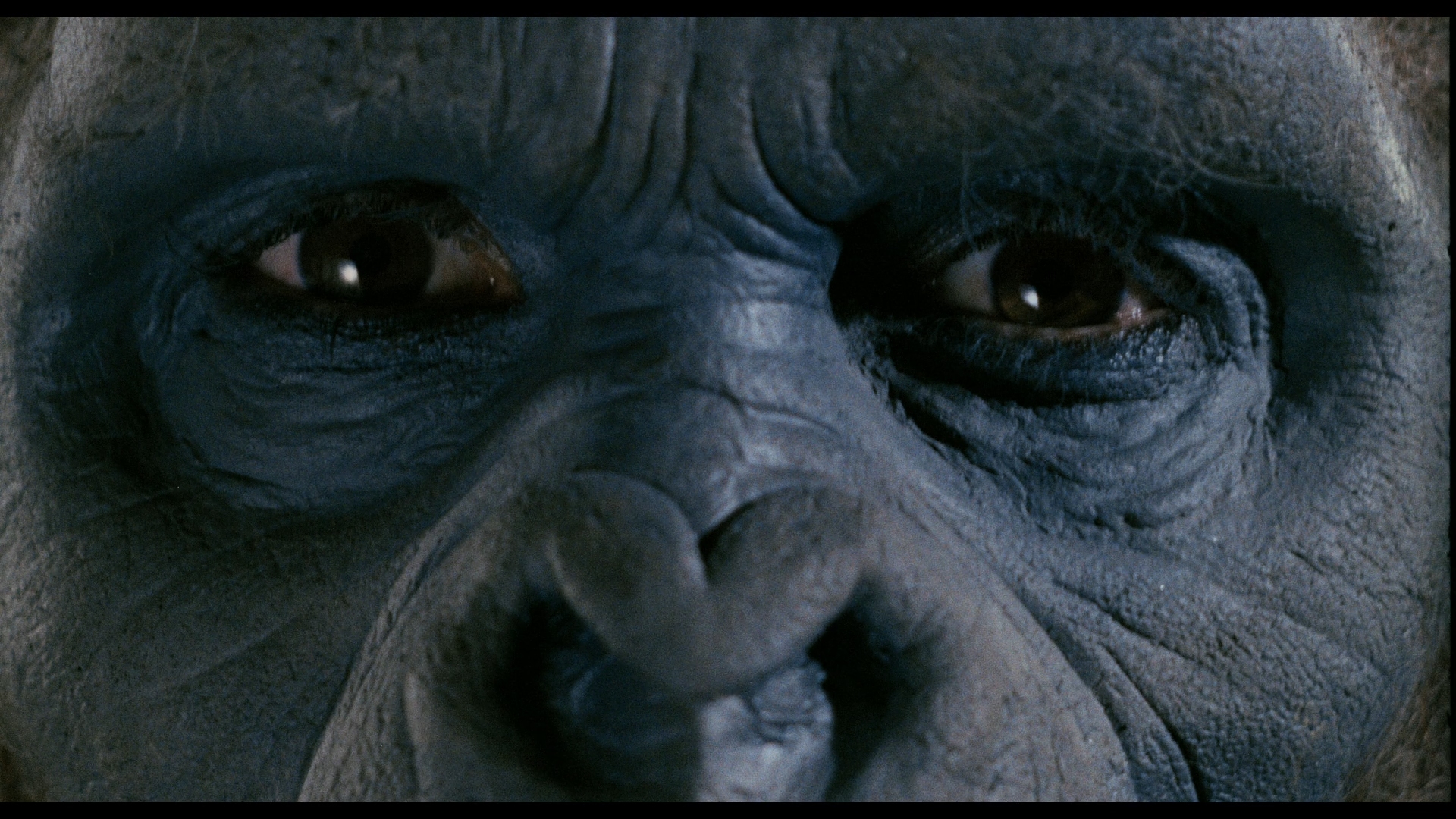 Schlock Blu-ray Review