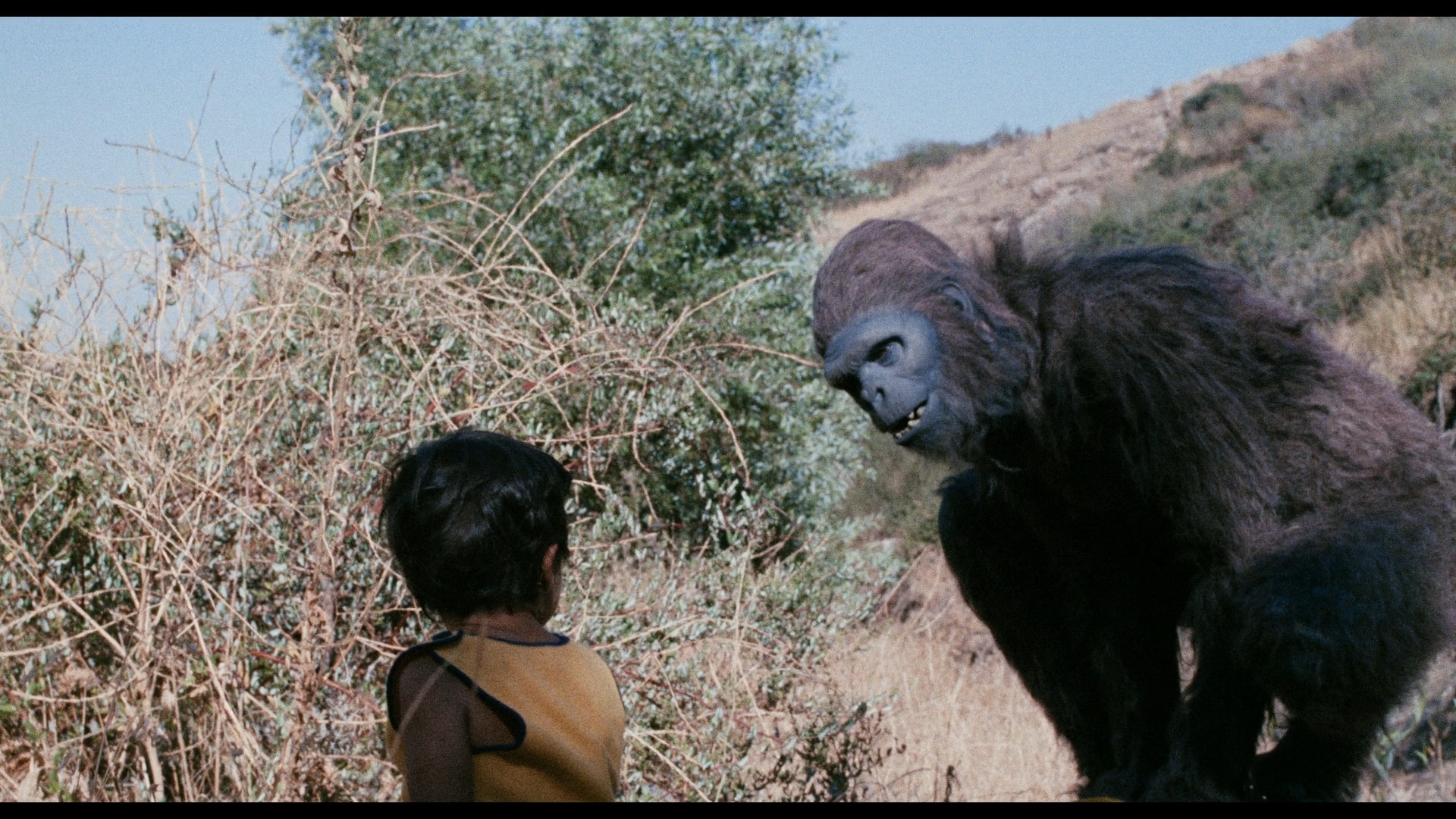 Schlock Blu-ray Review