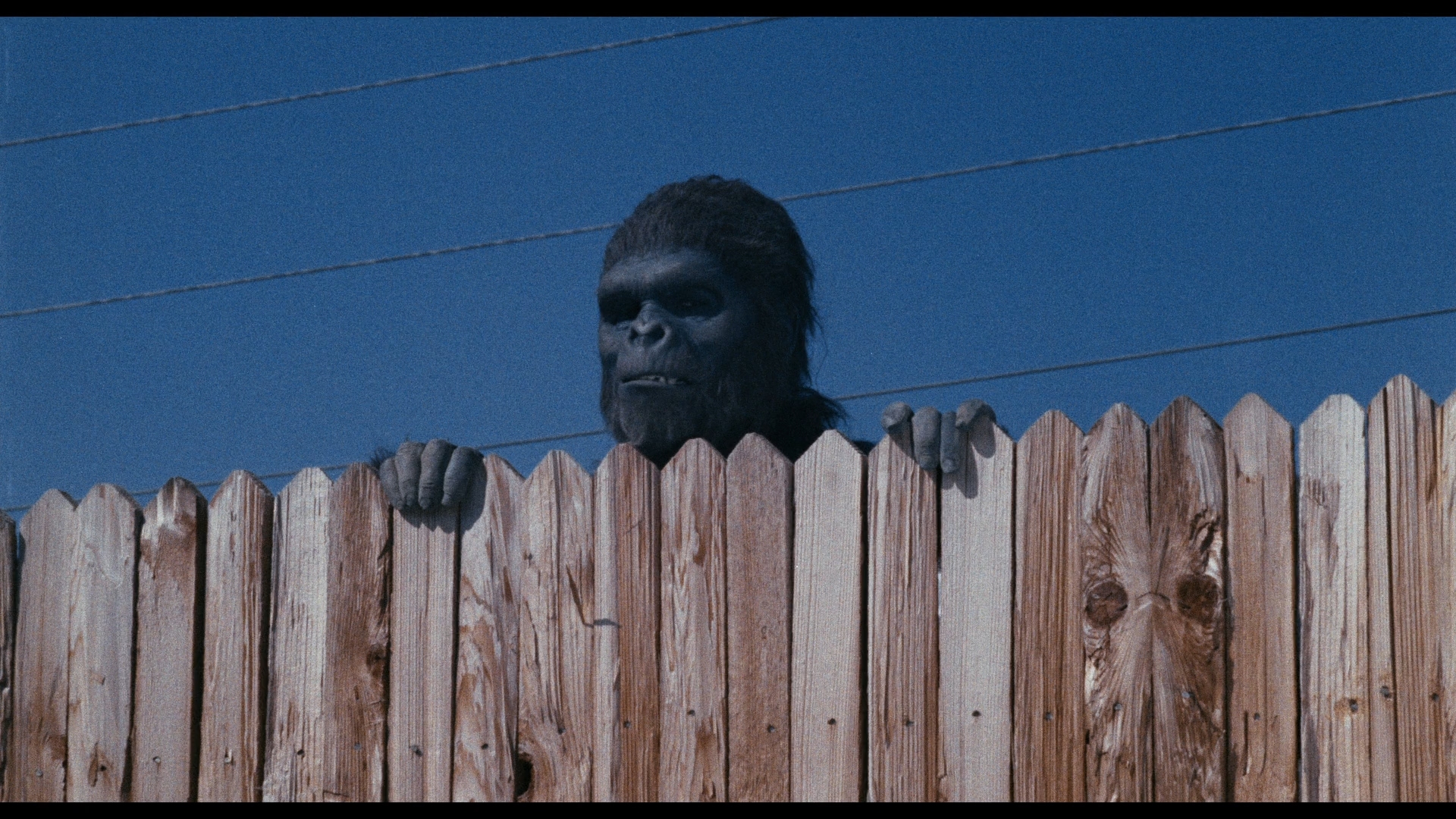 Schlock Blu-ray Review