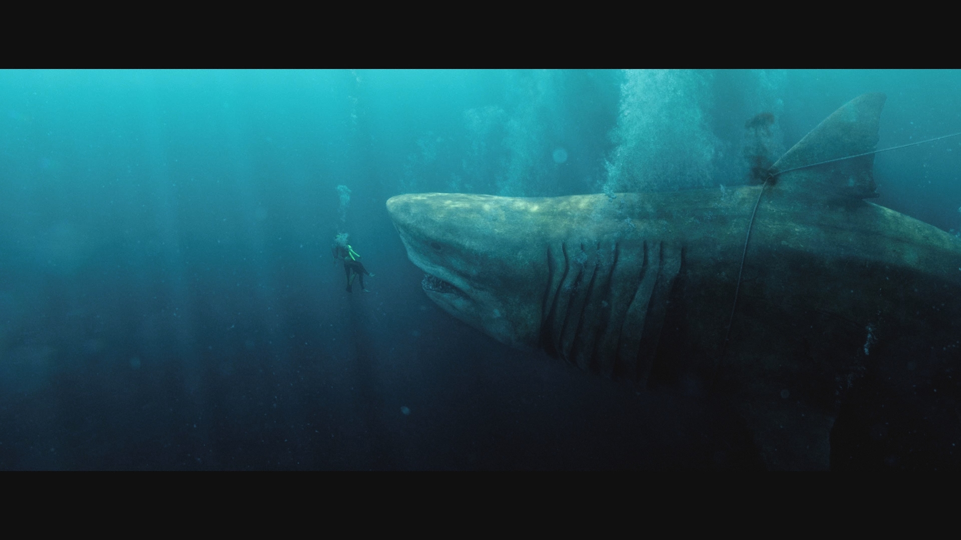 The Meg 4K UHD Blu-ray Review