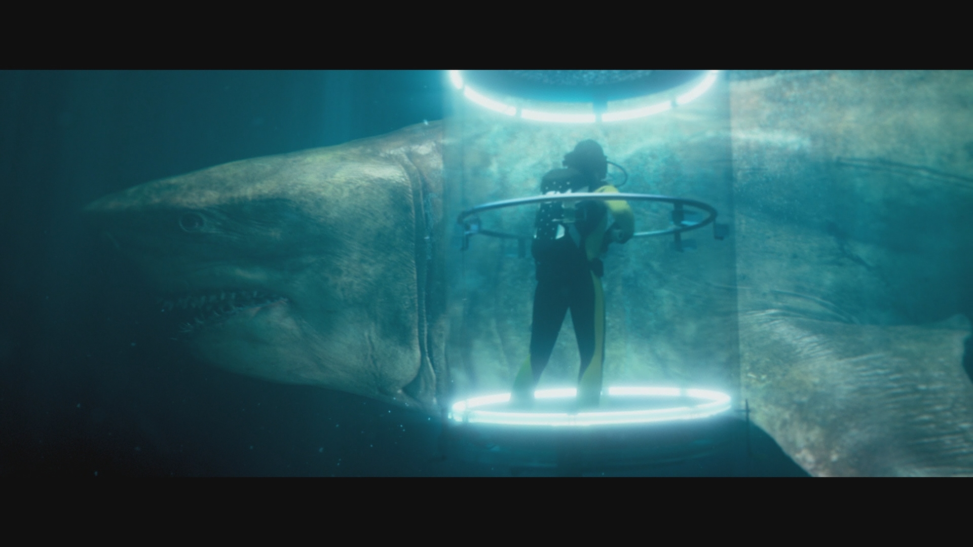 The Meg 4K UHD Blu-ray Review