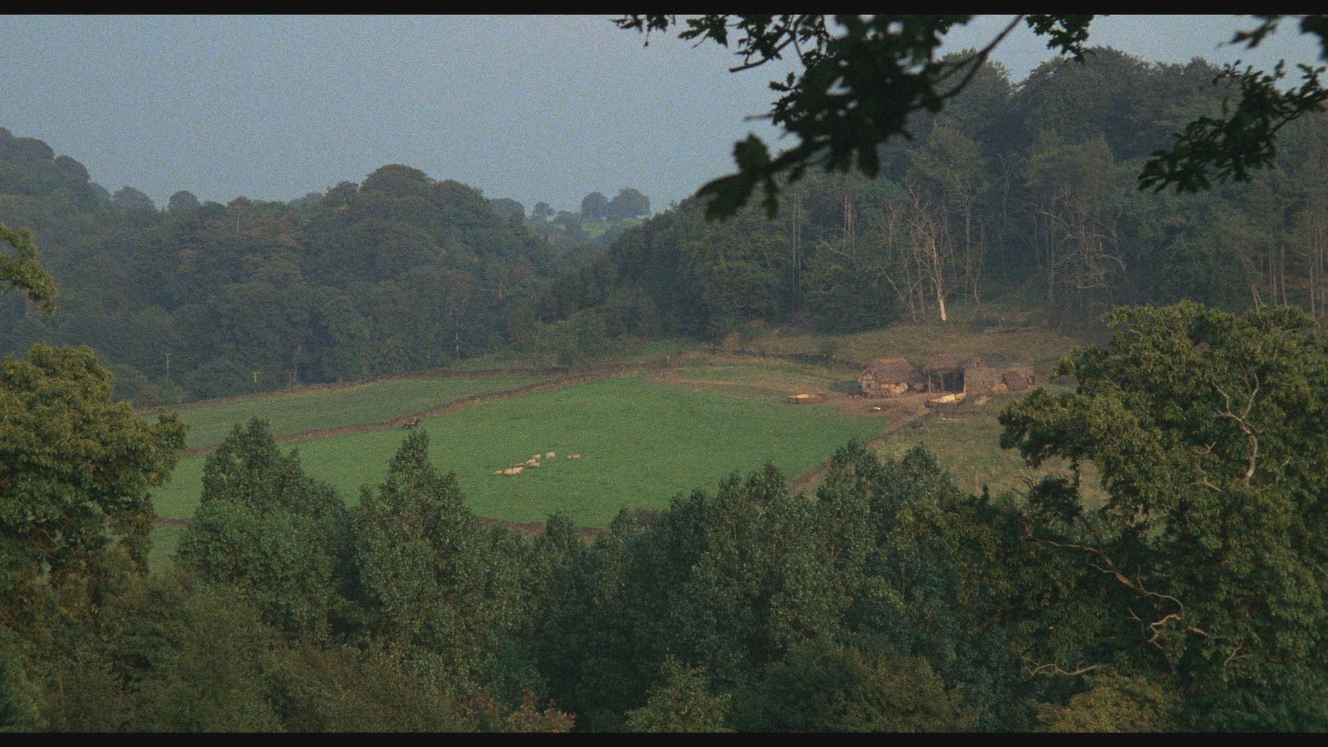 The Princess Bride (Criterion Collection) Blu-ray Review