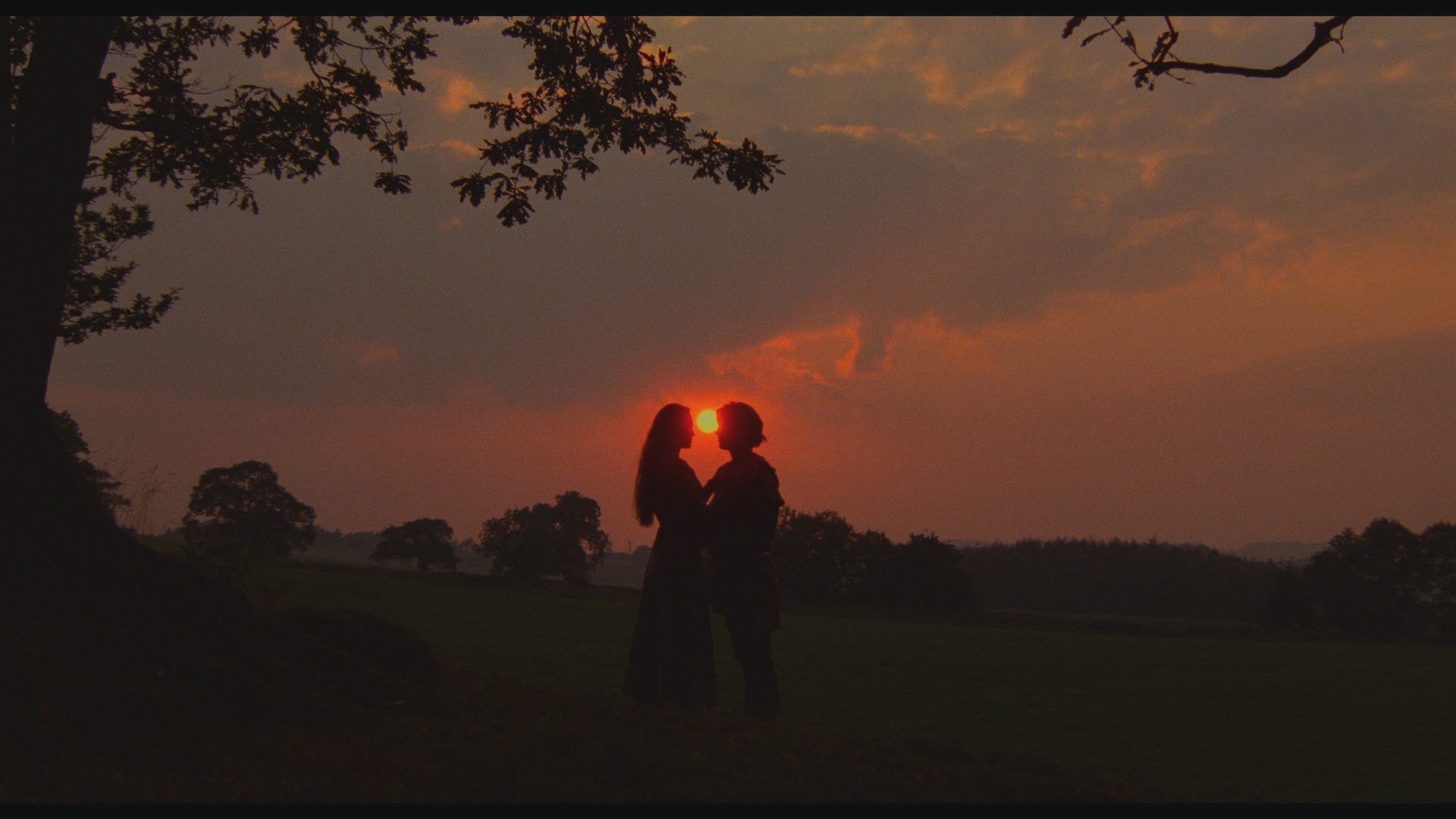 The Princess Bride (Criterion Collection) Blu-ray Review