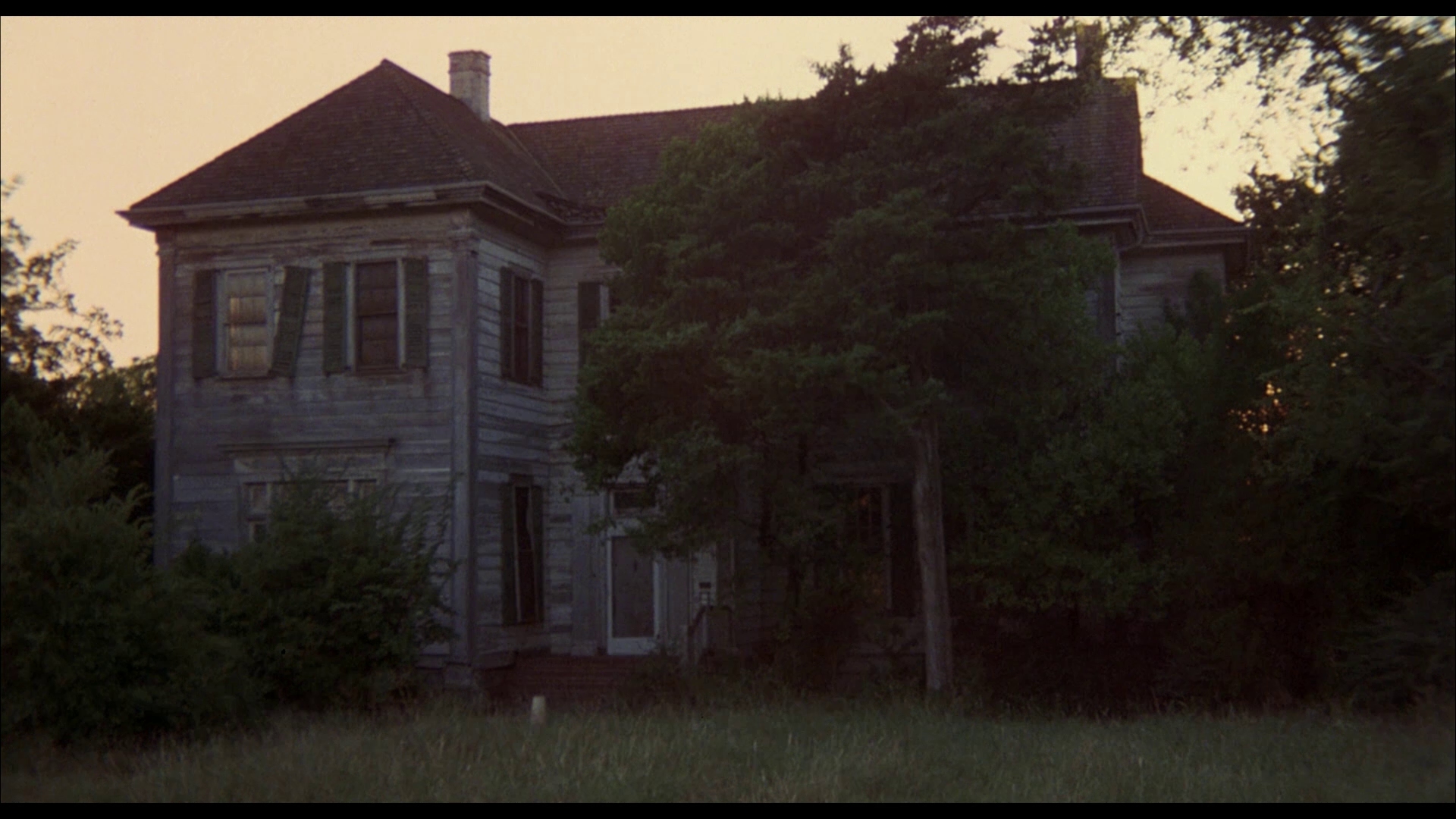 Benji Blu-ray Review