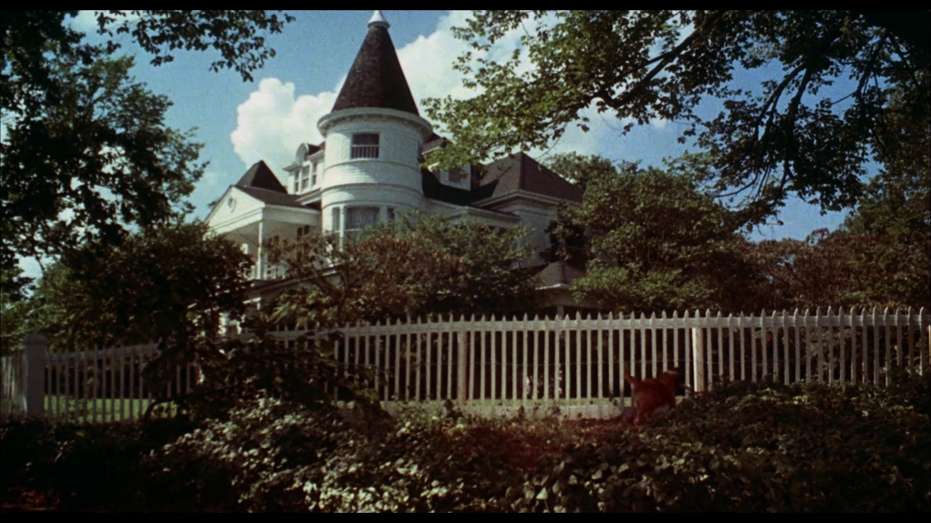 Benji Blu-ray Review