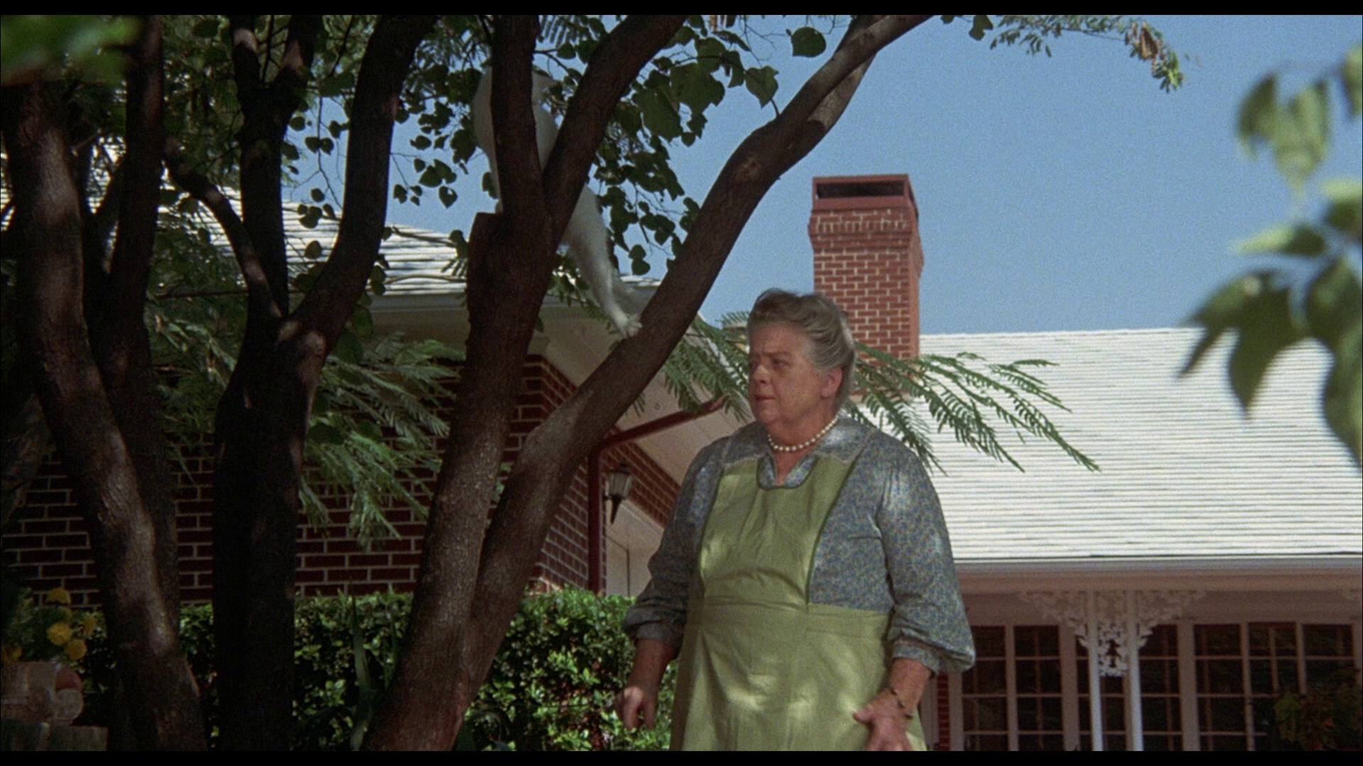 Benji Blu-ray Review