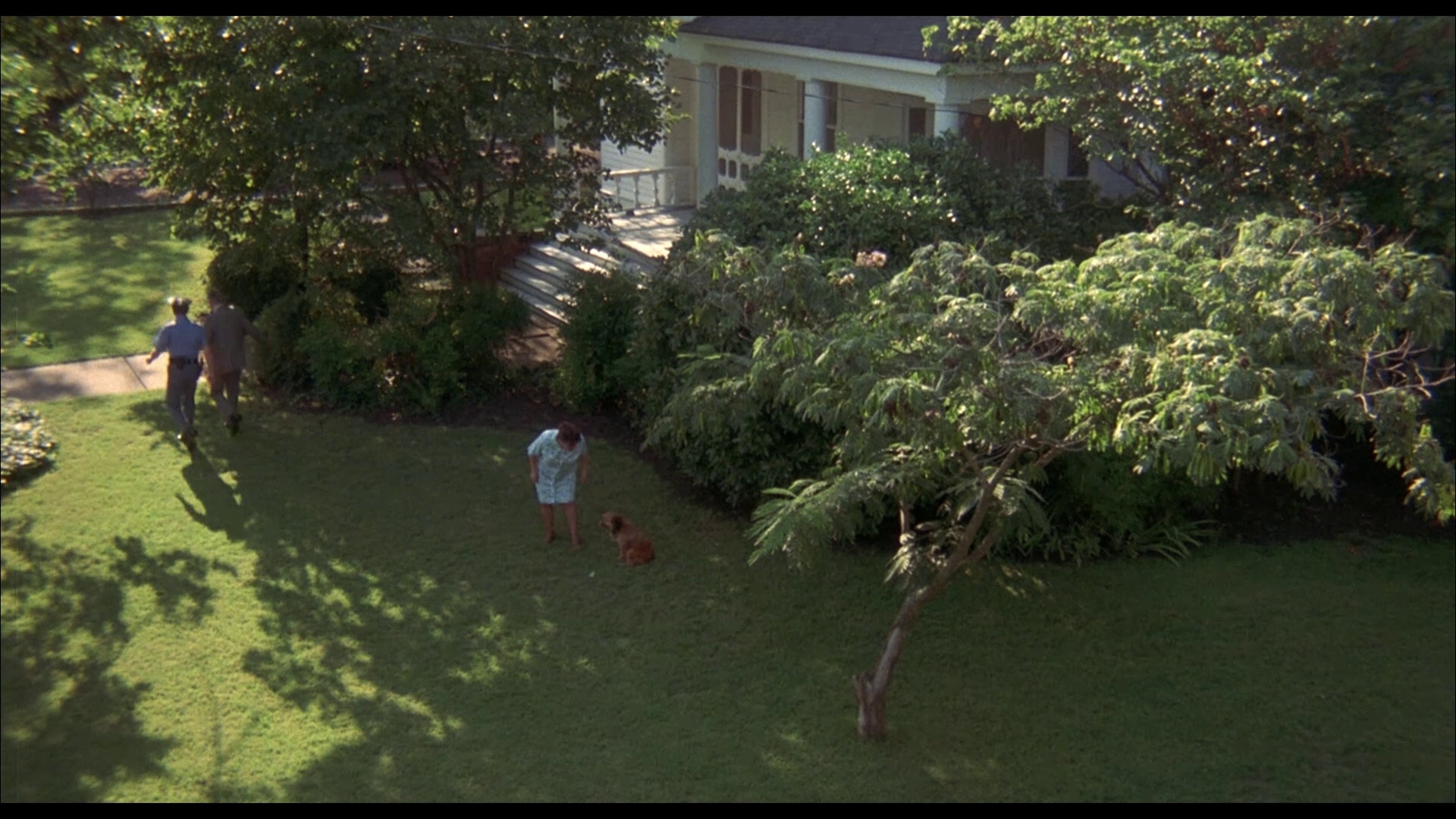 Benji Blu-ray Review