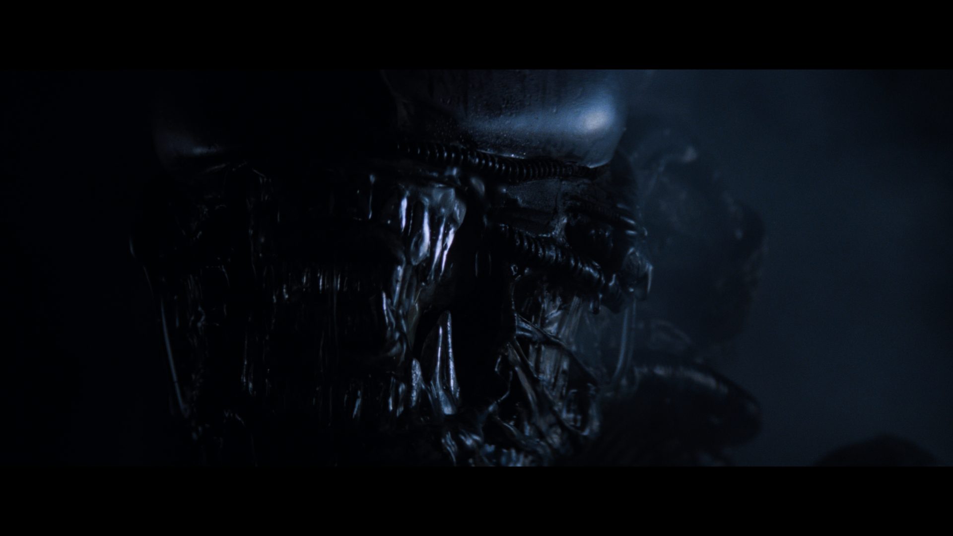 Alien 40th Anniversary 4K UHD Review
