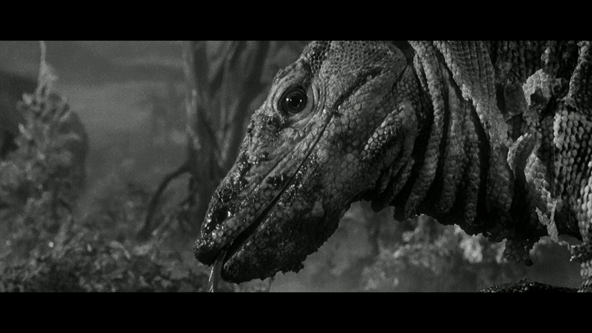 The Land Unknown Blu-ray Review