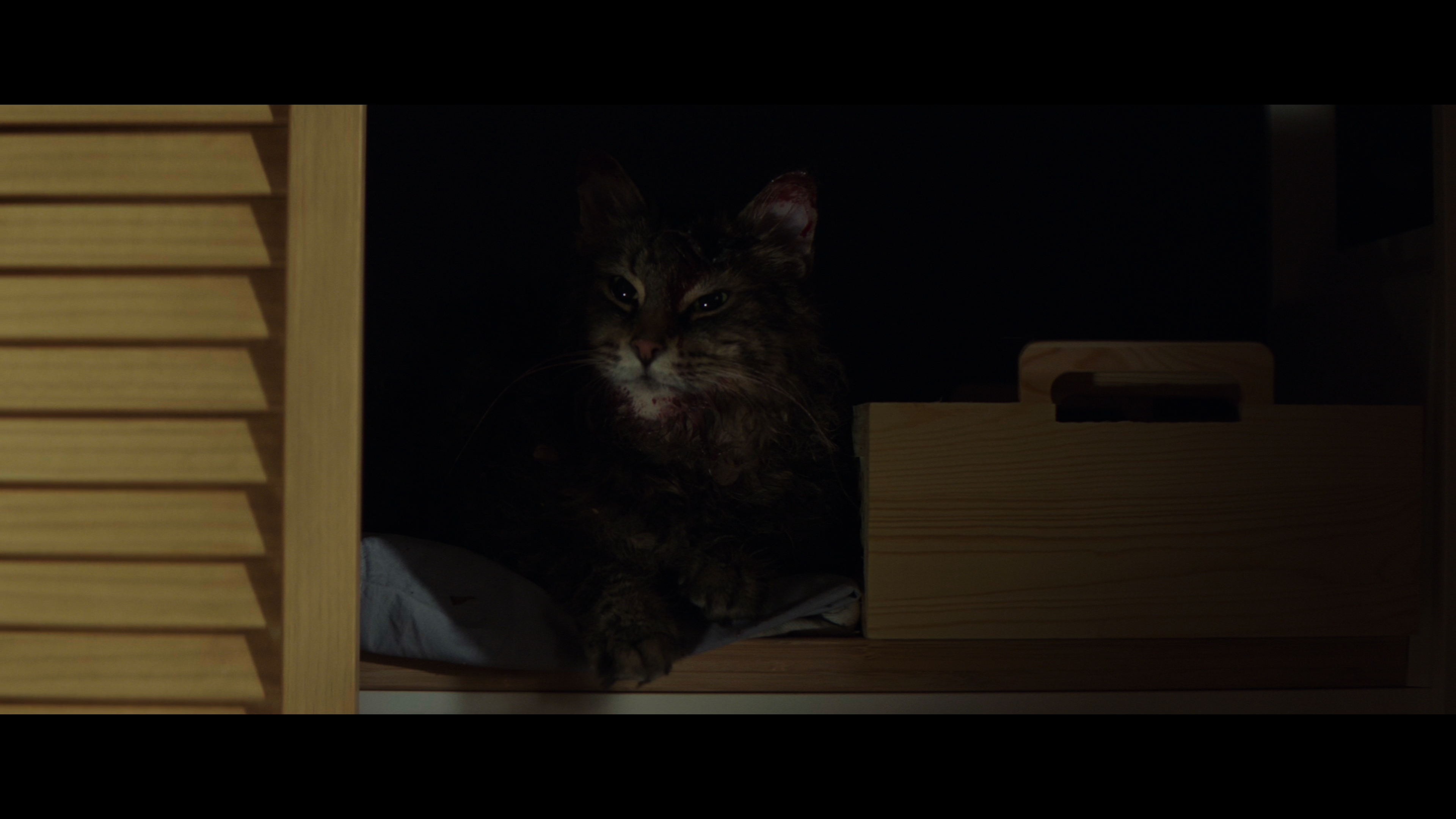 Pet Semetary (2019) 4K UHD Review